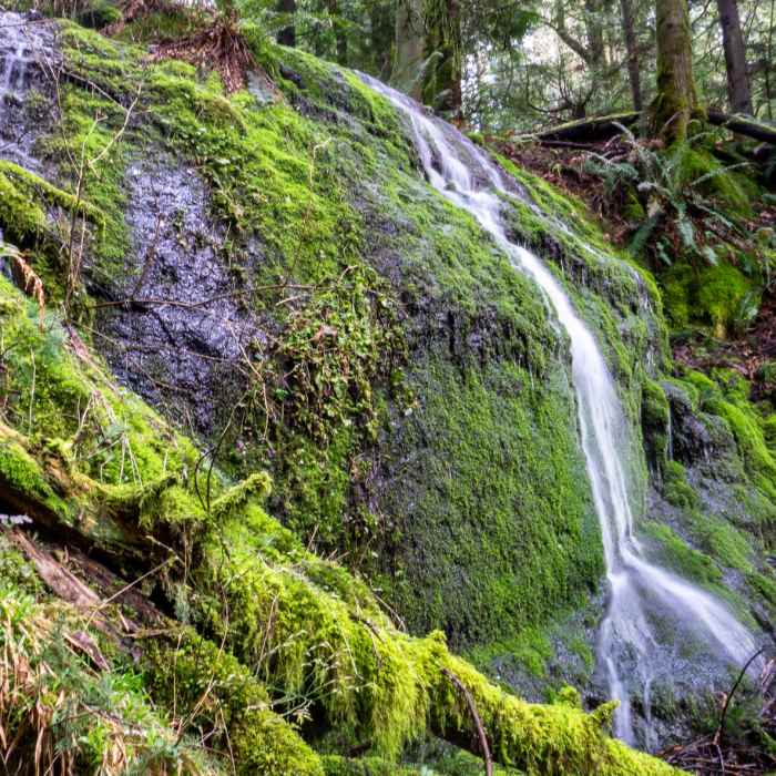 Deceiver Trail | Hiking Trail Maps, Difficulty, Trail Status | onX