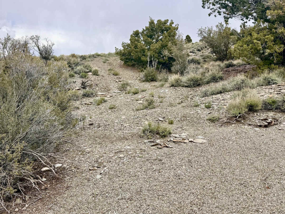 Timber Hill West - FS 24212 | Off-Road Trail Maps, Difficulty, Trail ...