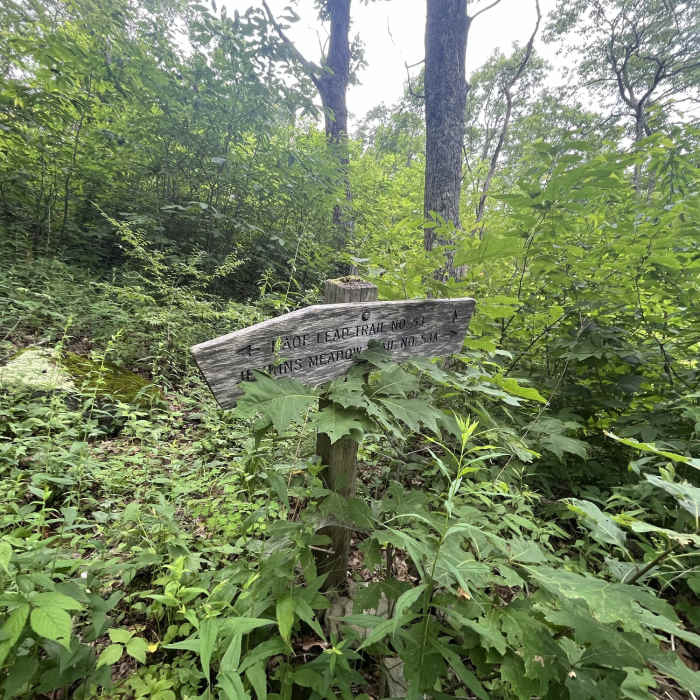Haoe Lead Trail #53 | Hiking Trail Maps, Difficulty, Trail Status | onX