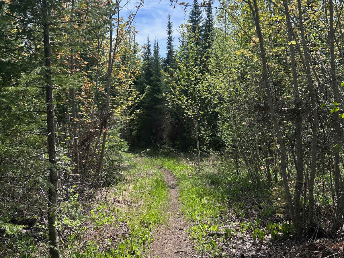 Moose Knuckle Ridge (M25 Section 3) | Off-Road Trail Maps, Difficulty ...