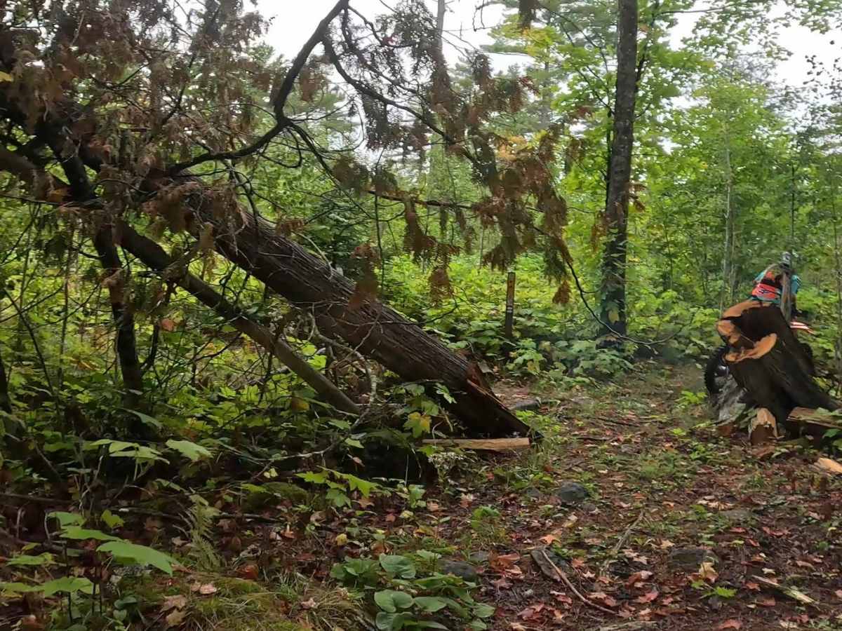 Rock Garden | Off-Road Trail Maps, Difficulty, Trail Status | onX Offroad