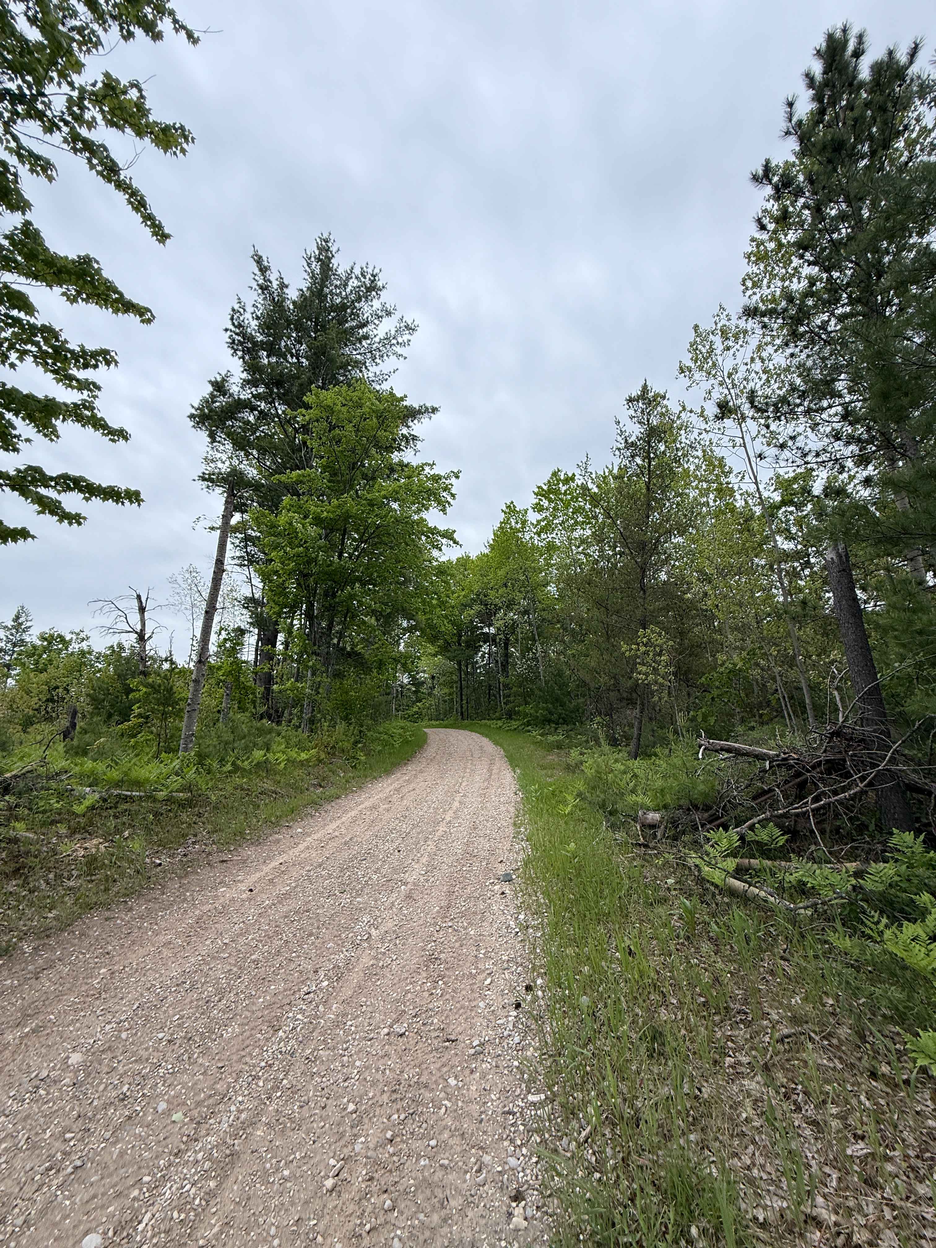 LP 55 Trail, Michigan - GPS Trail Map, Conditions & Difficulty | onX Offroad