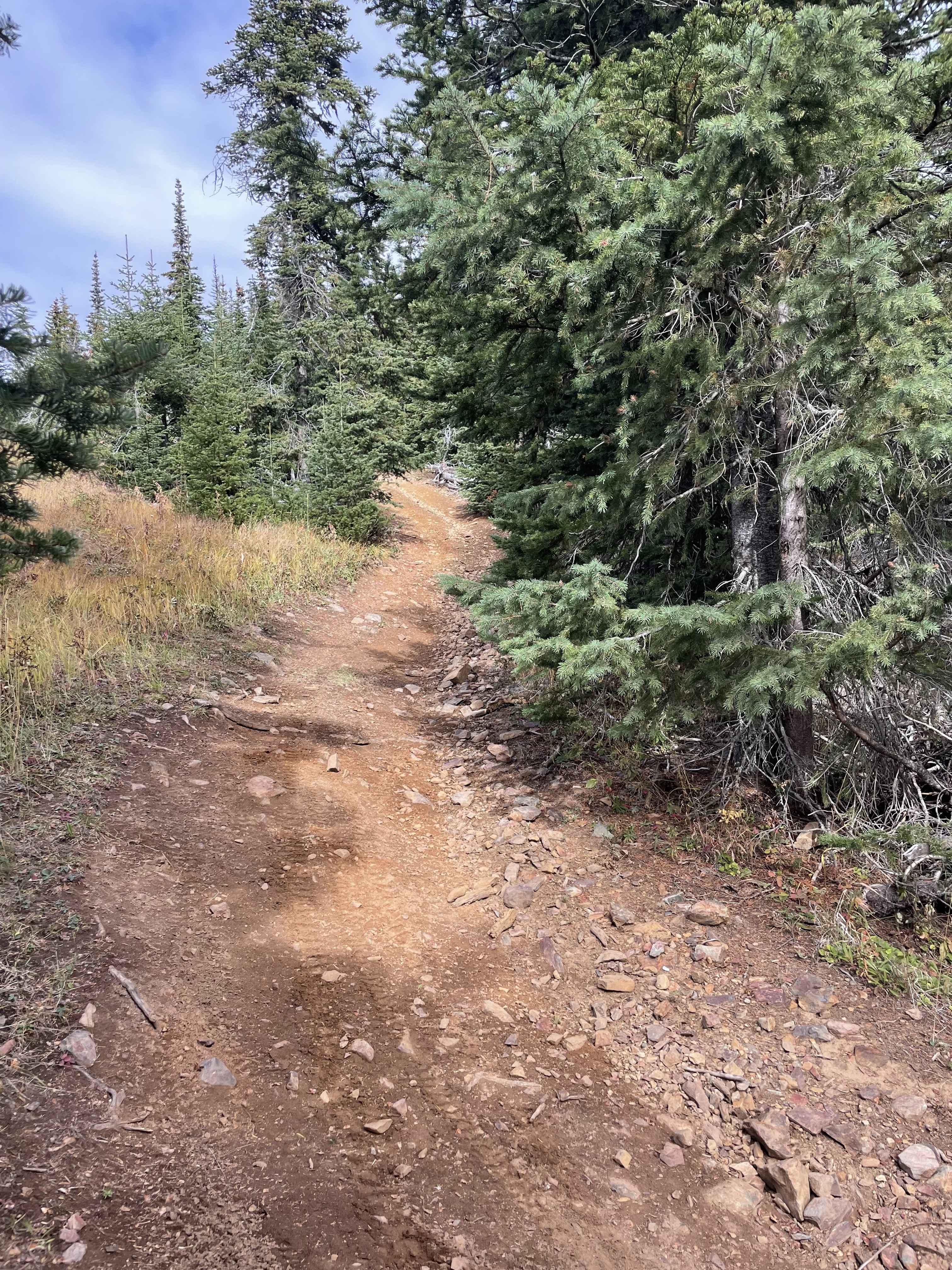 Sleepy Hallow, British Columbia - GPS Trail Map, Conditions ...