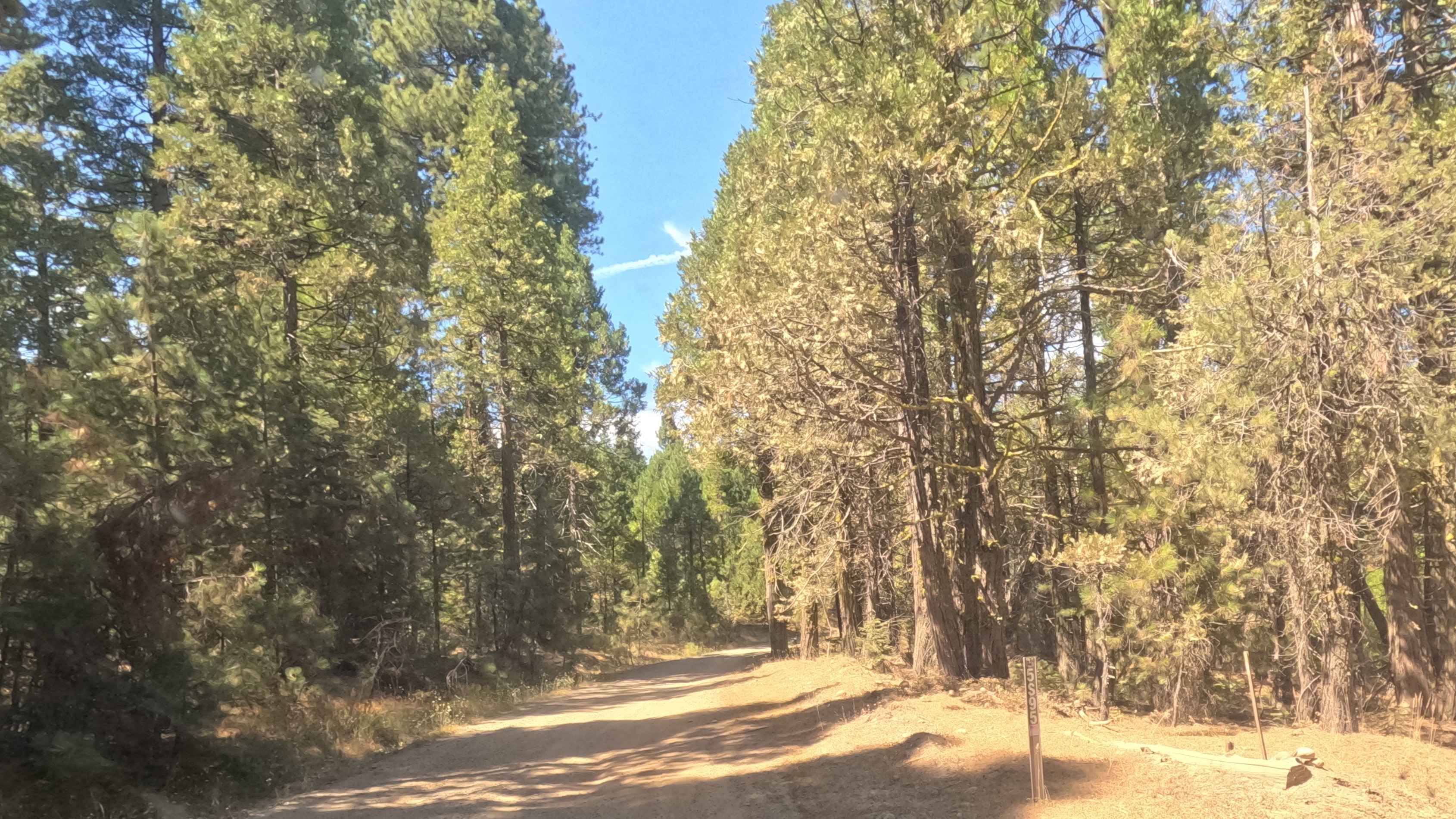 Speckerman Fuel Break - FS 5S095, California - GPS Trail Map ...