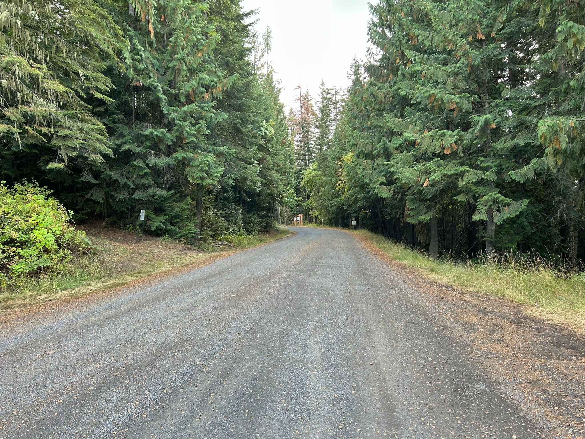 Palouse Divide East - FS 377, Idaho - GPS Trail Map, Conditions ...