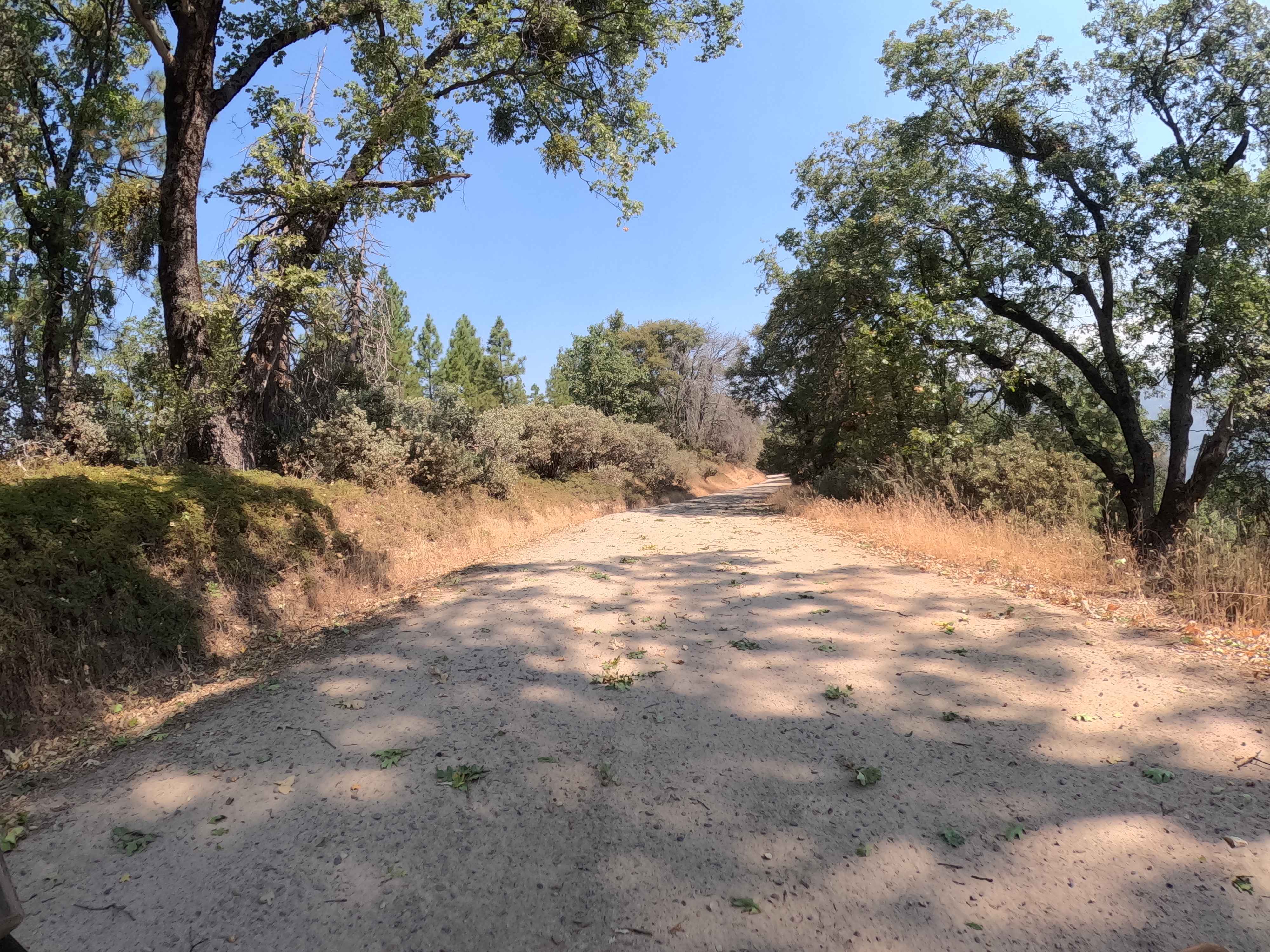 Redpole Loop - FS 26E334, California - GPS Trail Map, Conditions ...