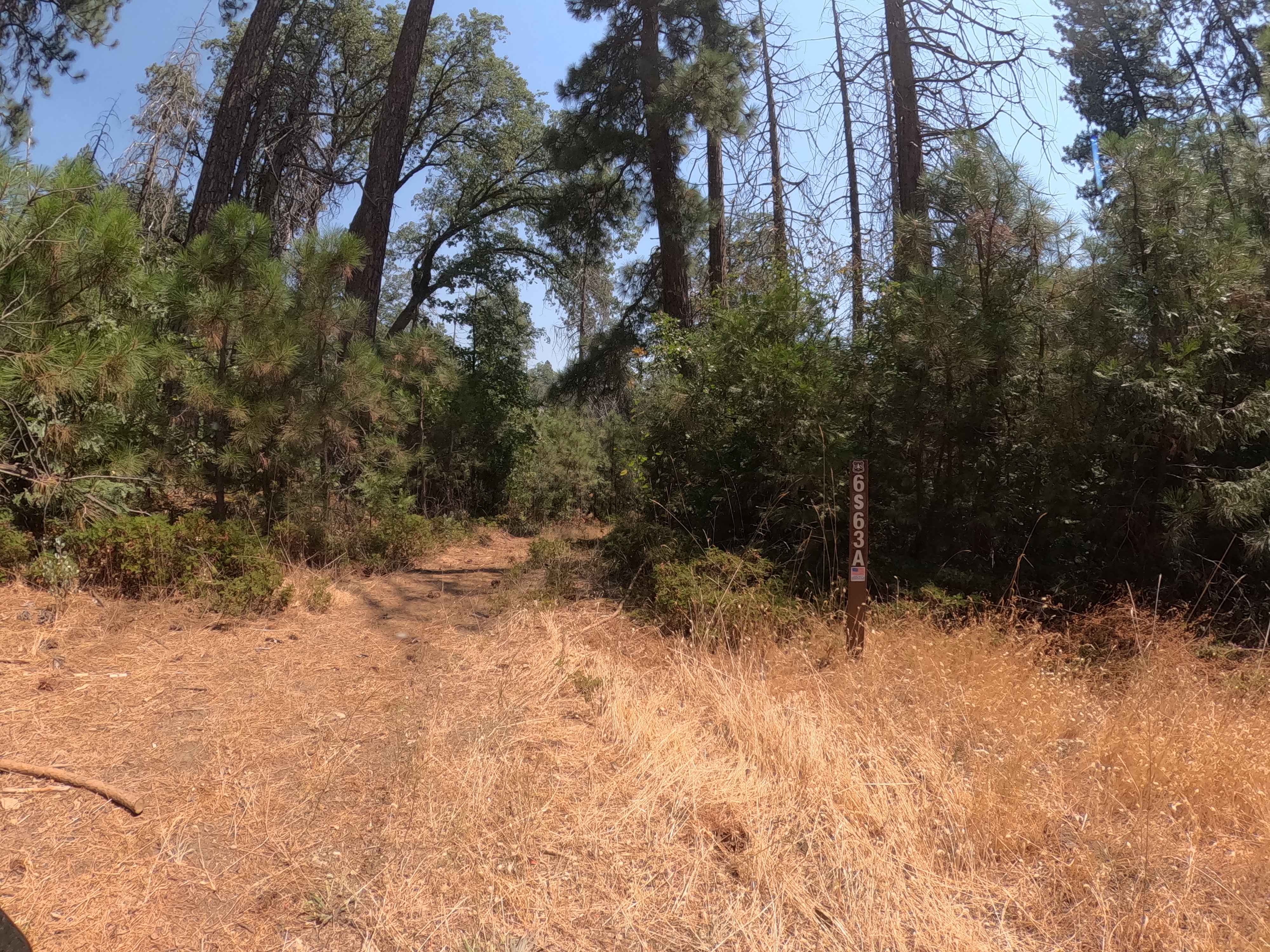 Pilot Cutoff - FS 6S063A, California - GPS Trail Map, Conditions ...