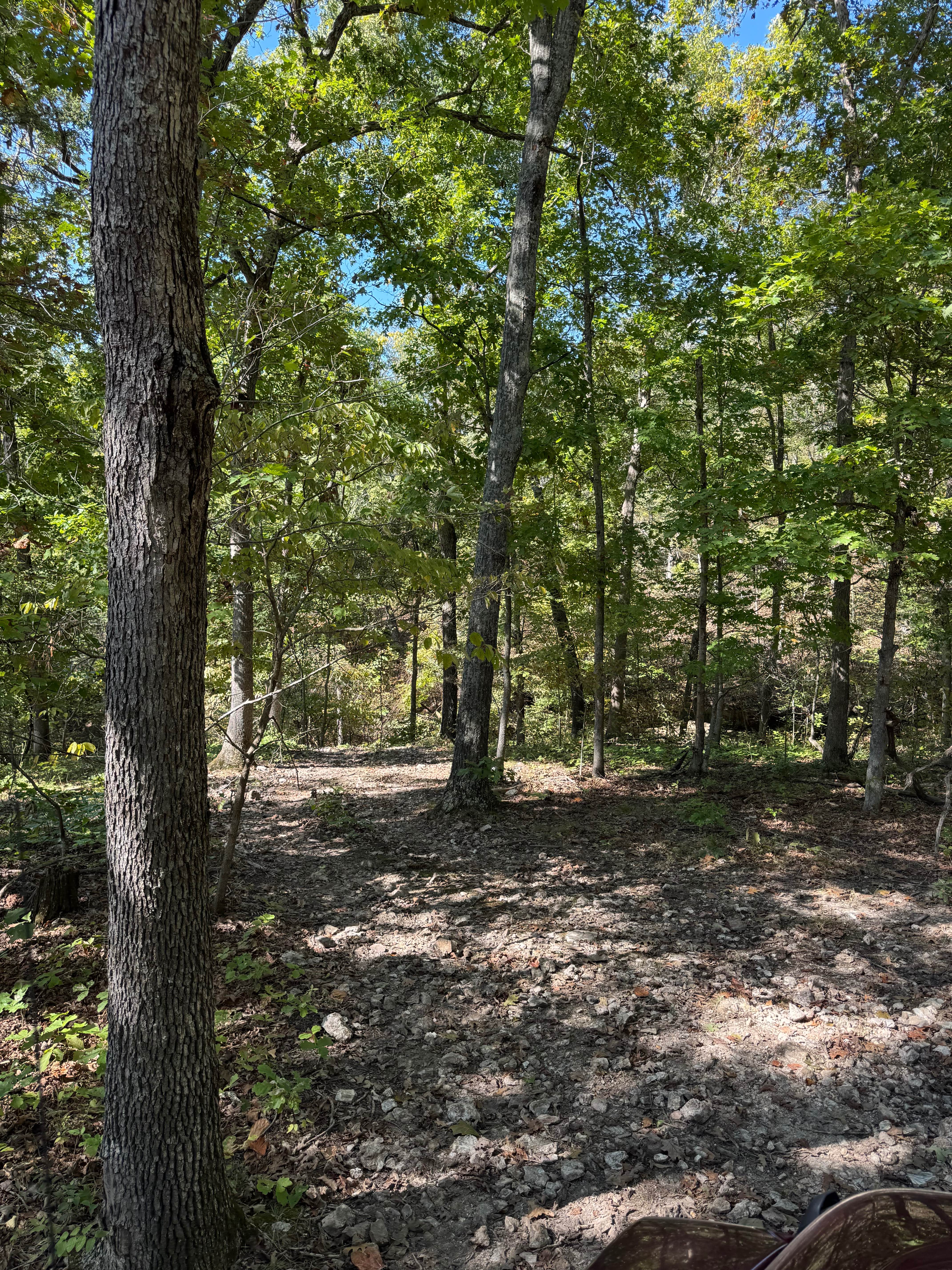 Bad Bottoms, Missouri - GPS Trail Map, Conditions & Difficulty | onX ...