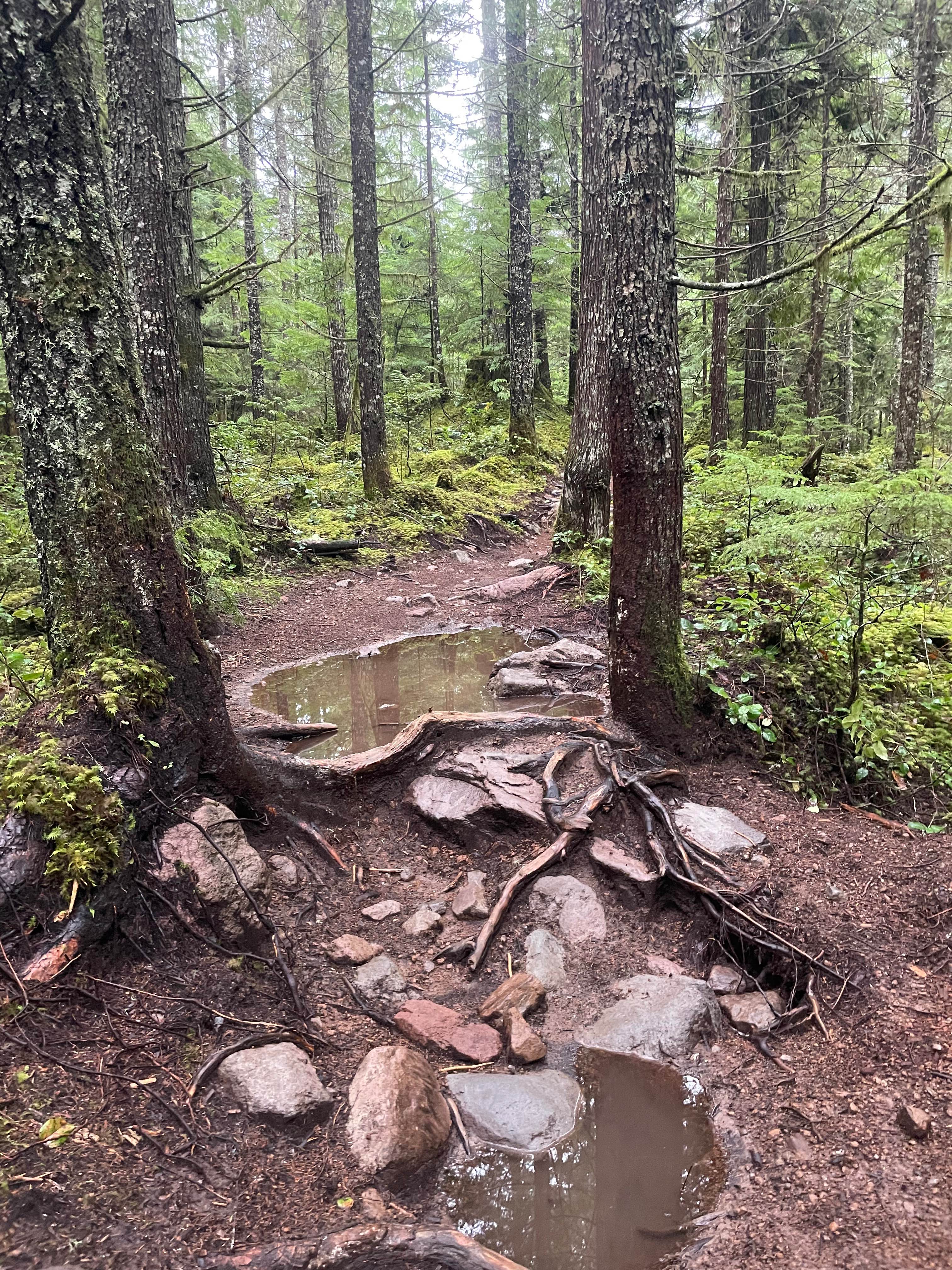 Wray's Way, British Columbia - GPS Trail Map, Conditions & Difficulty ...