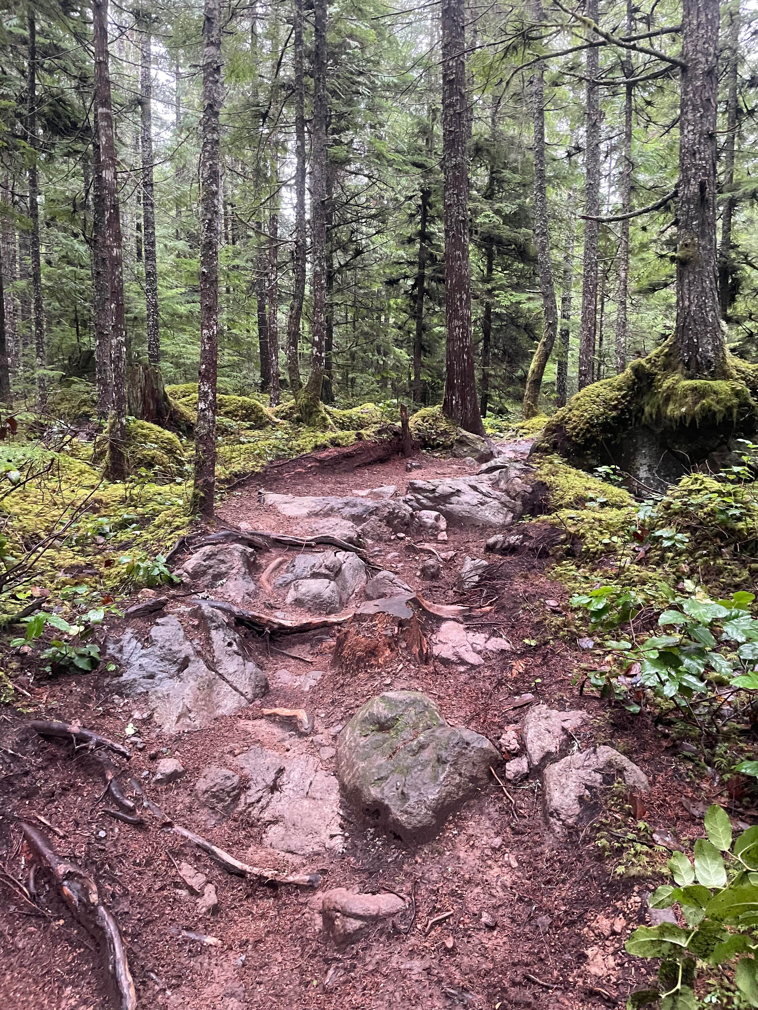 Wray's Way, British Columbia - GPS Trail Map, Conditions & Difficulty ...