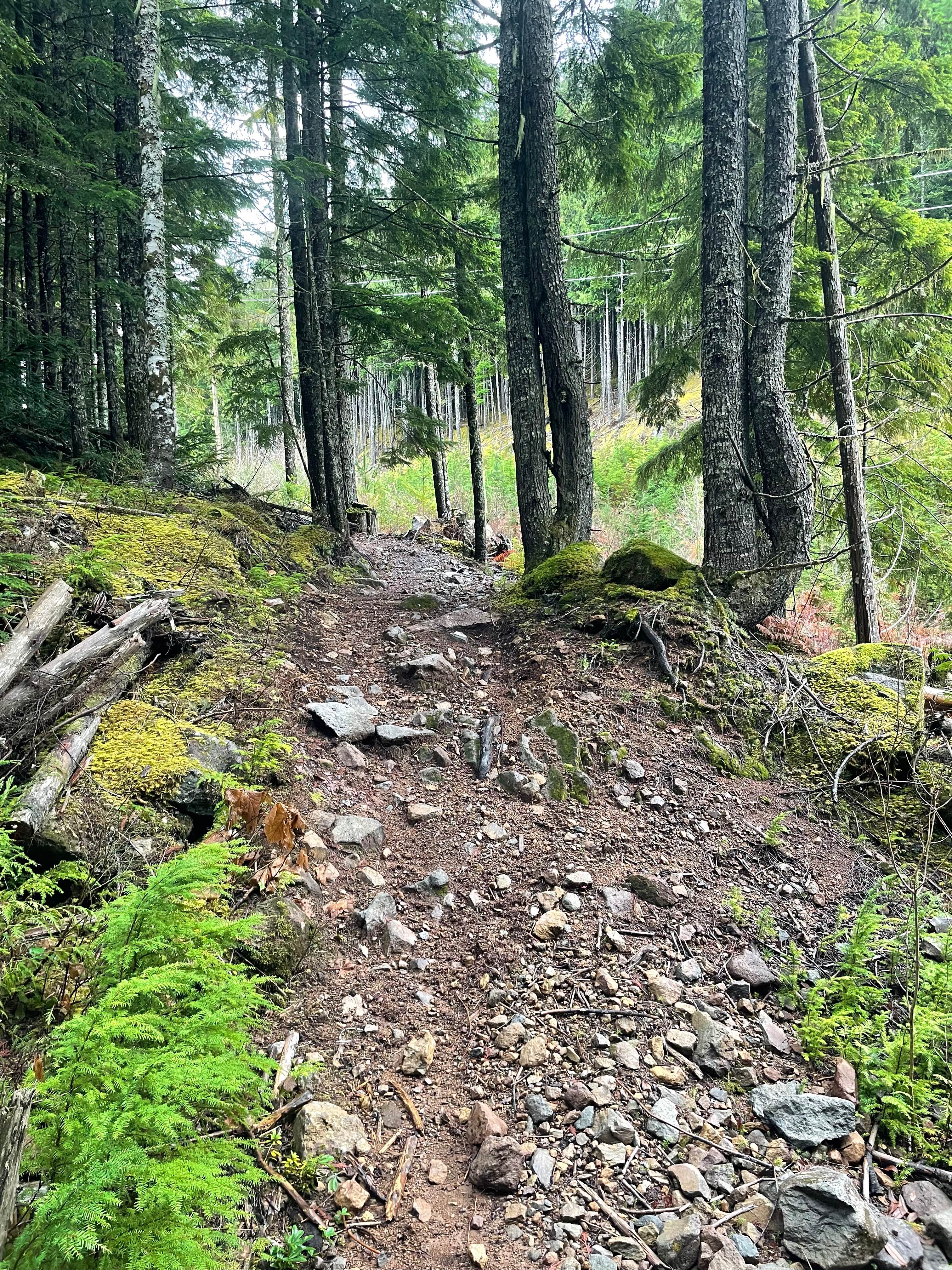 Side 2, British Columbia - GPS Trail Map, Conditions & Difficulty | onX ...