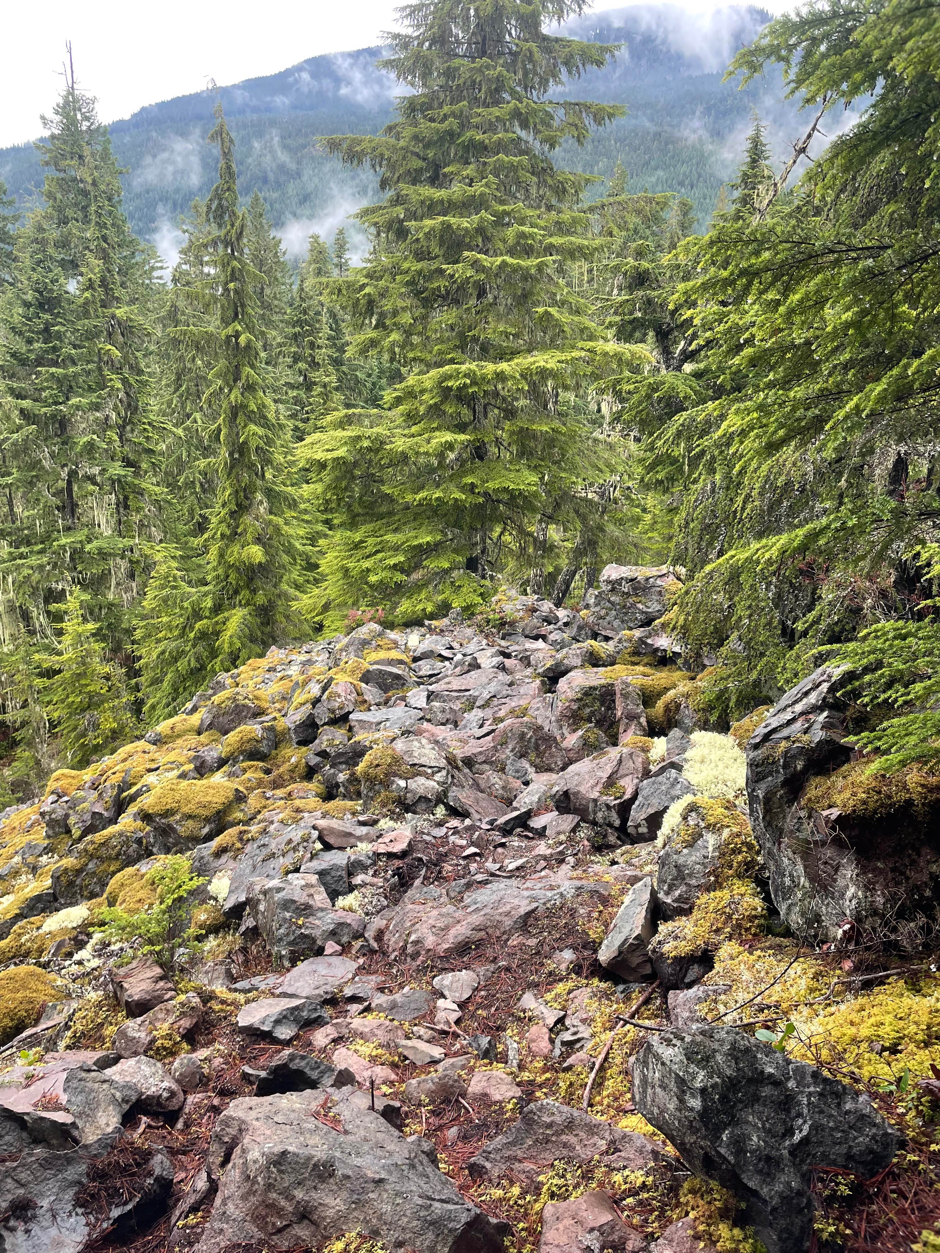 Soft Serve, British Columbia - GPS Trail Map, Conditions & Difficulty ...