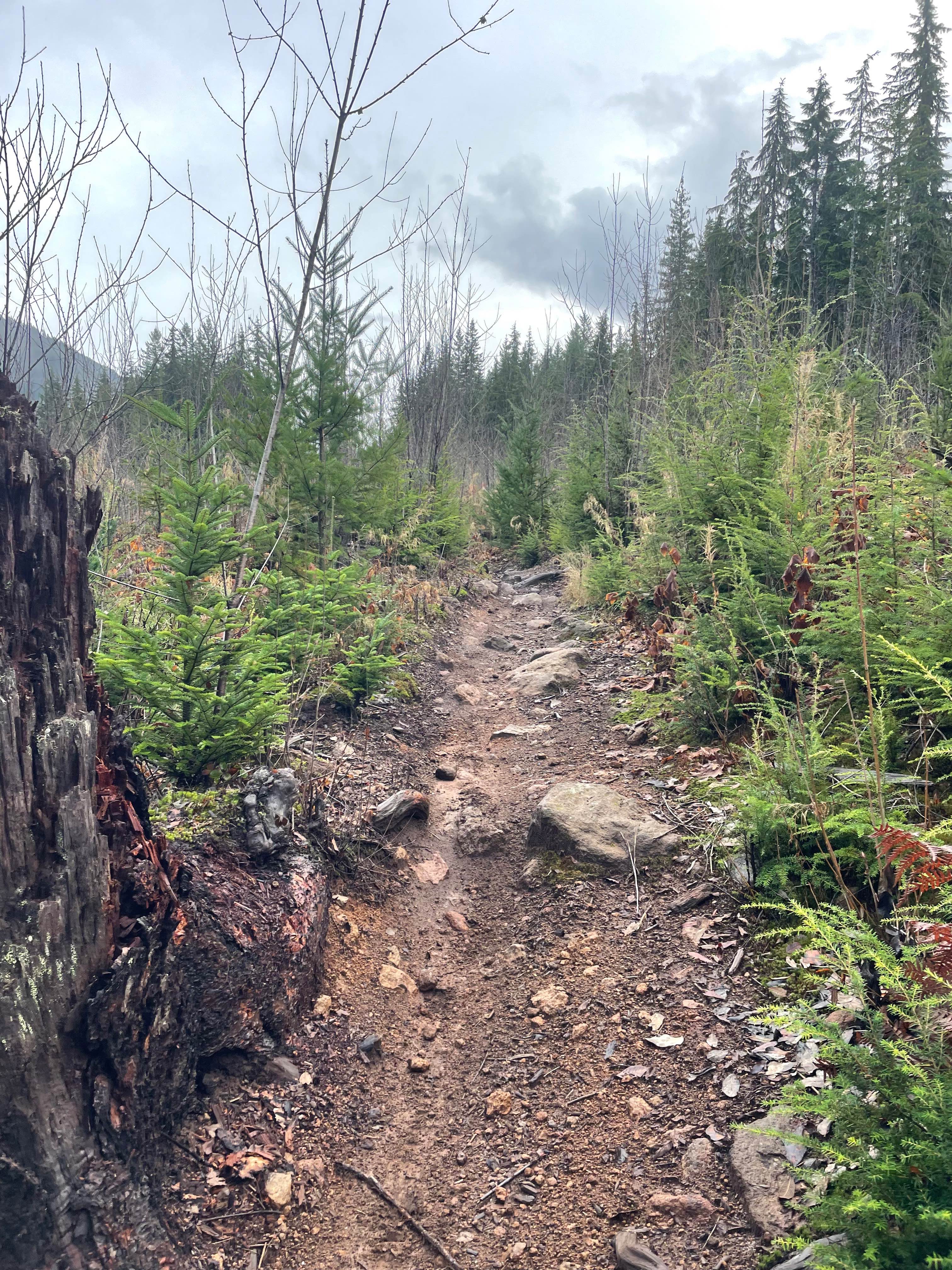 Sock Puppet, British Columbia - GPS Trail Map, Conditions & Difficulty ...