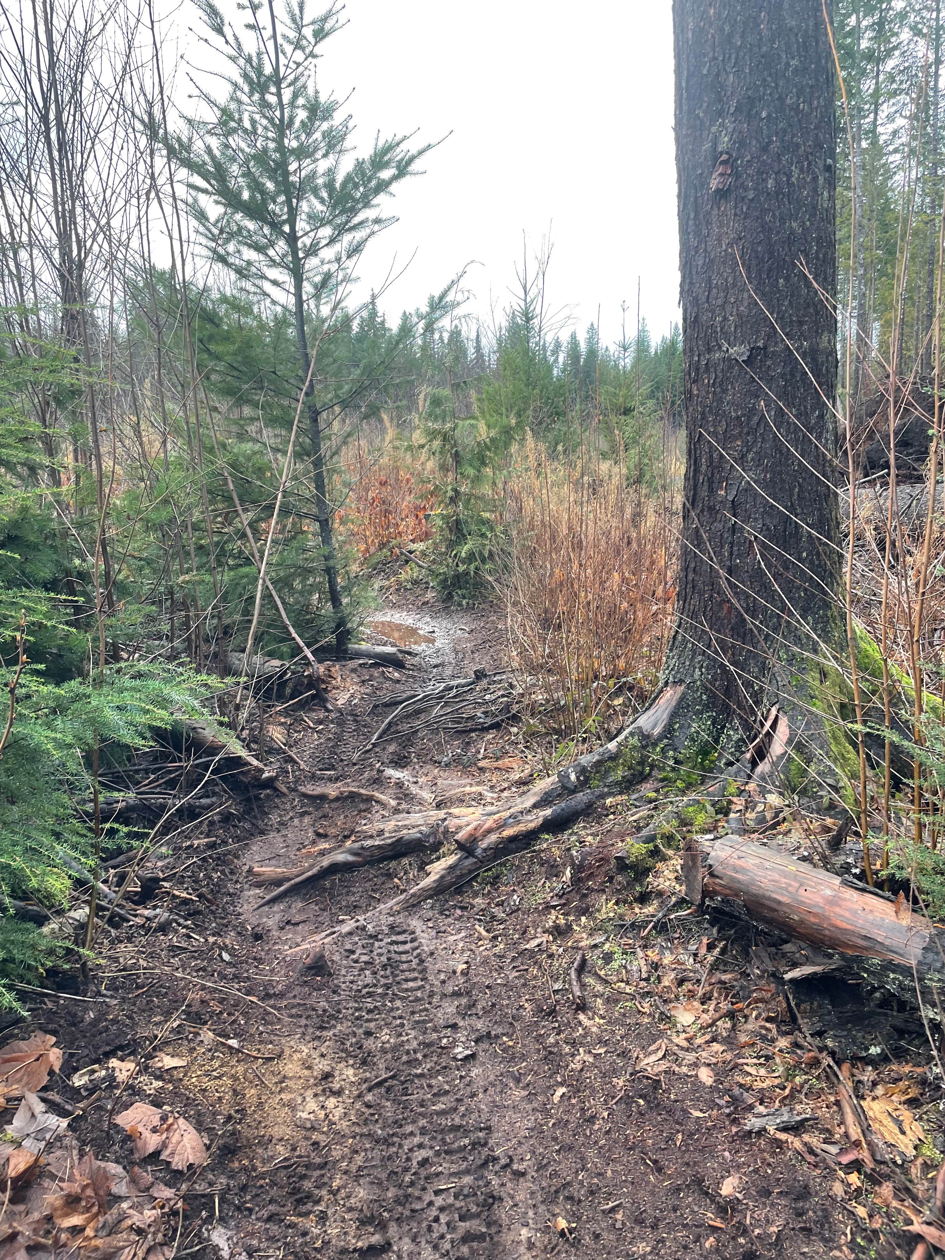 Sock Puppet, British Columbia - GPS Trail Map, Conditions & Difficulty ...