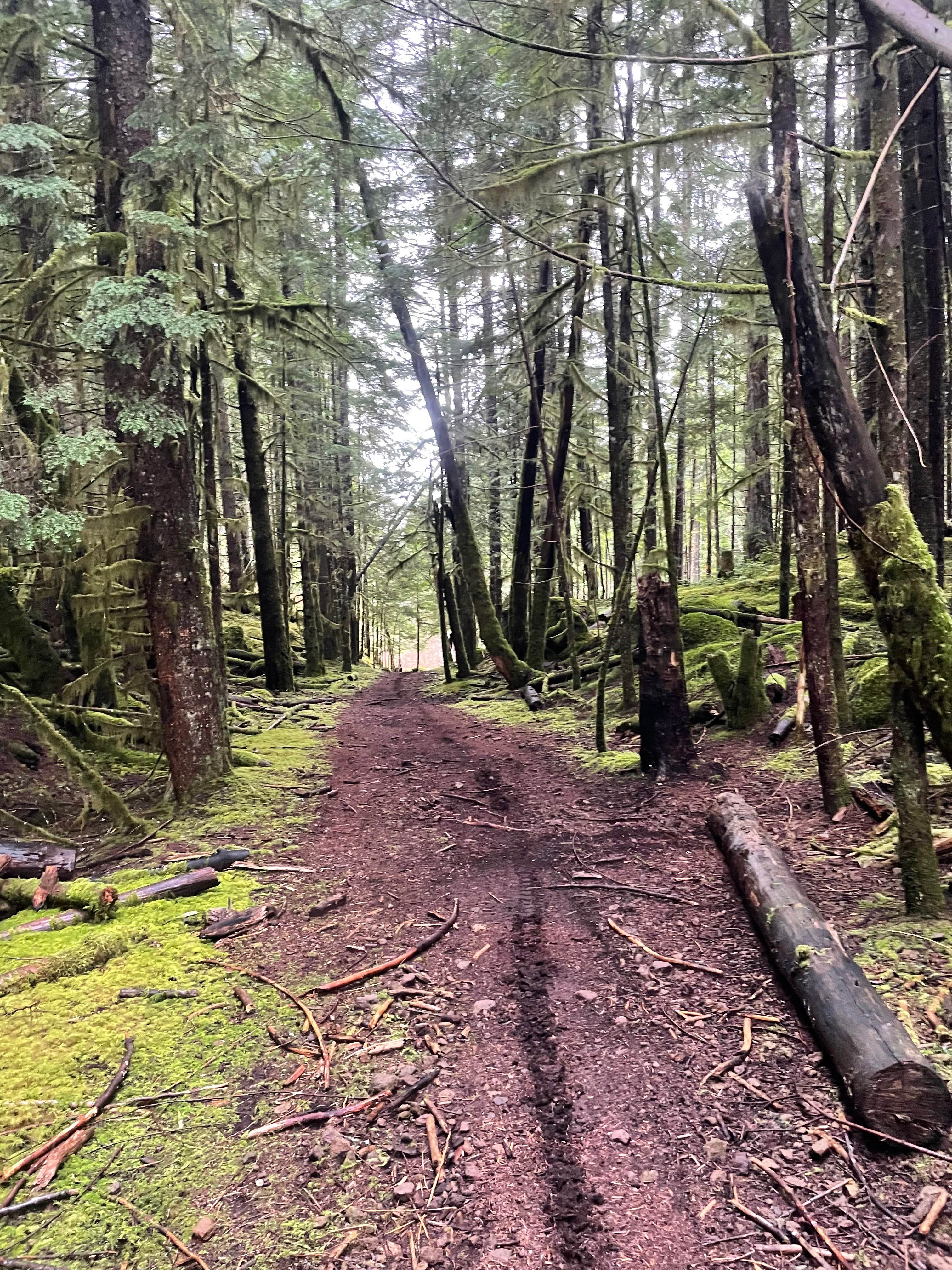 Doubletrack, British Columbia - GPS Trail Map, Conditions & Difficulty ...