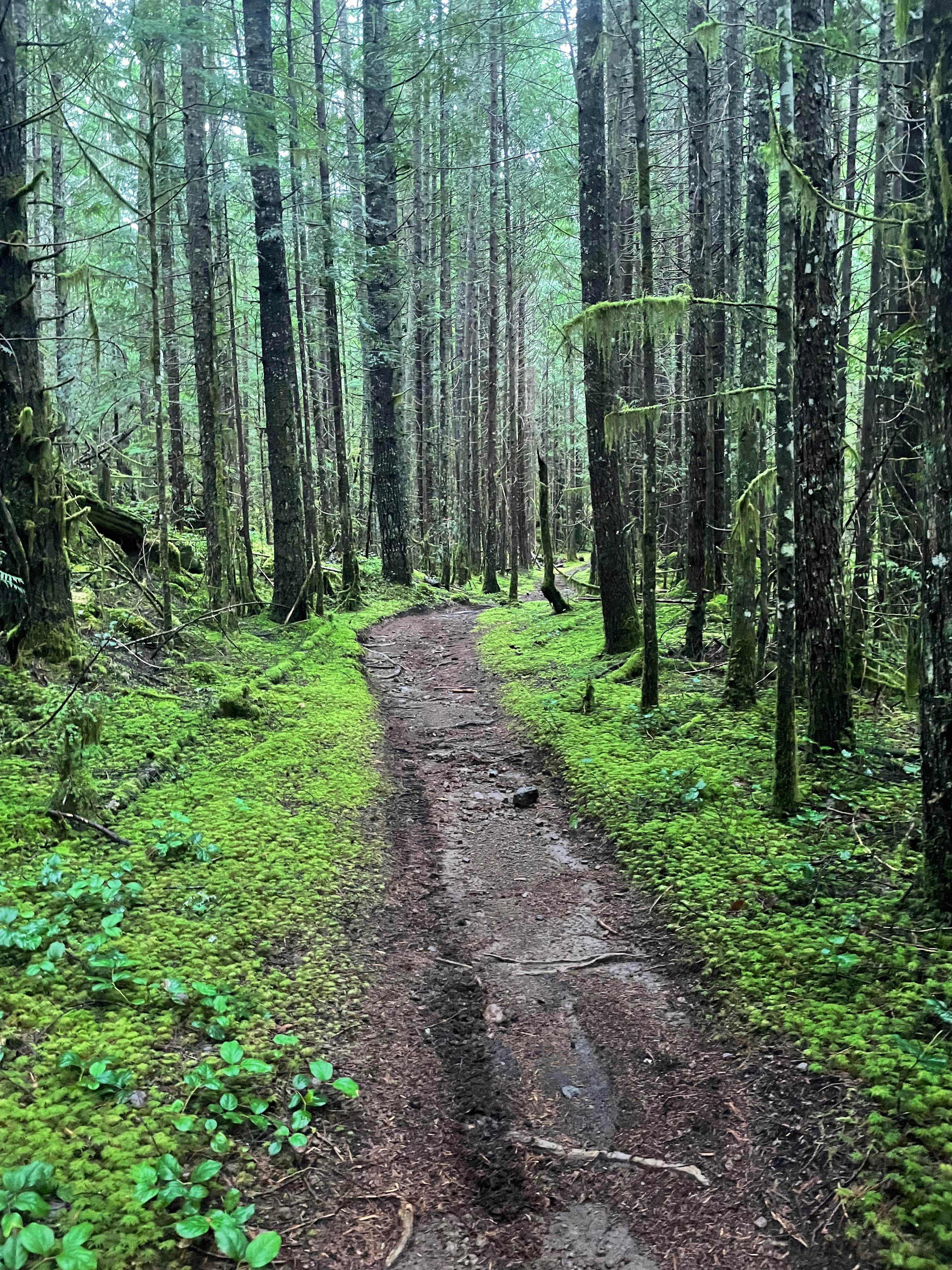 Moto Connector, British Columbia - GPS Trail Map, Conditions ...