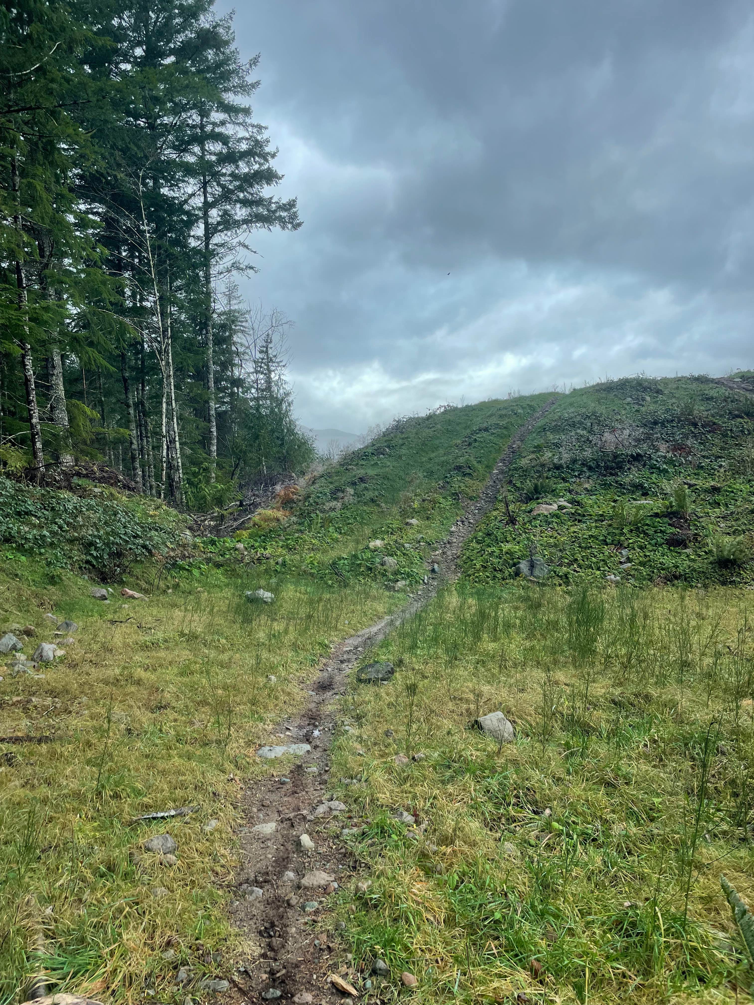 Out of the Woods, British Columbia - GPS Trail Map, Conditions ...