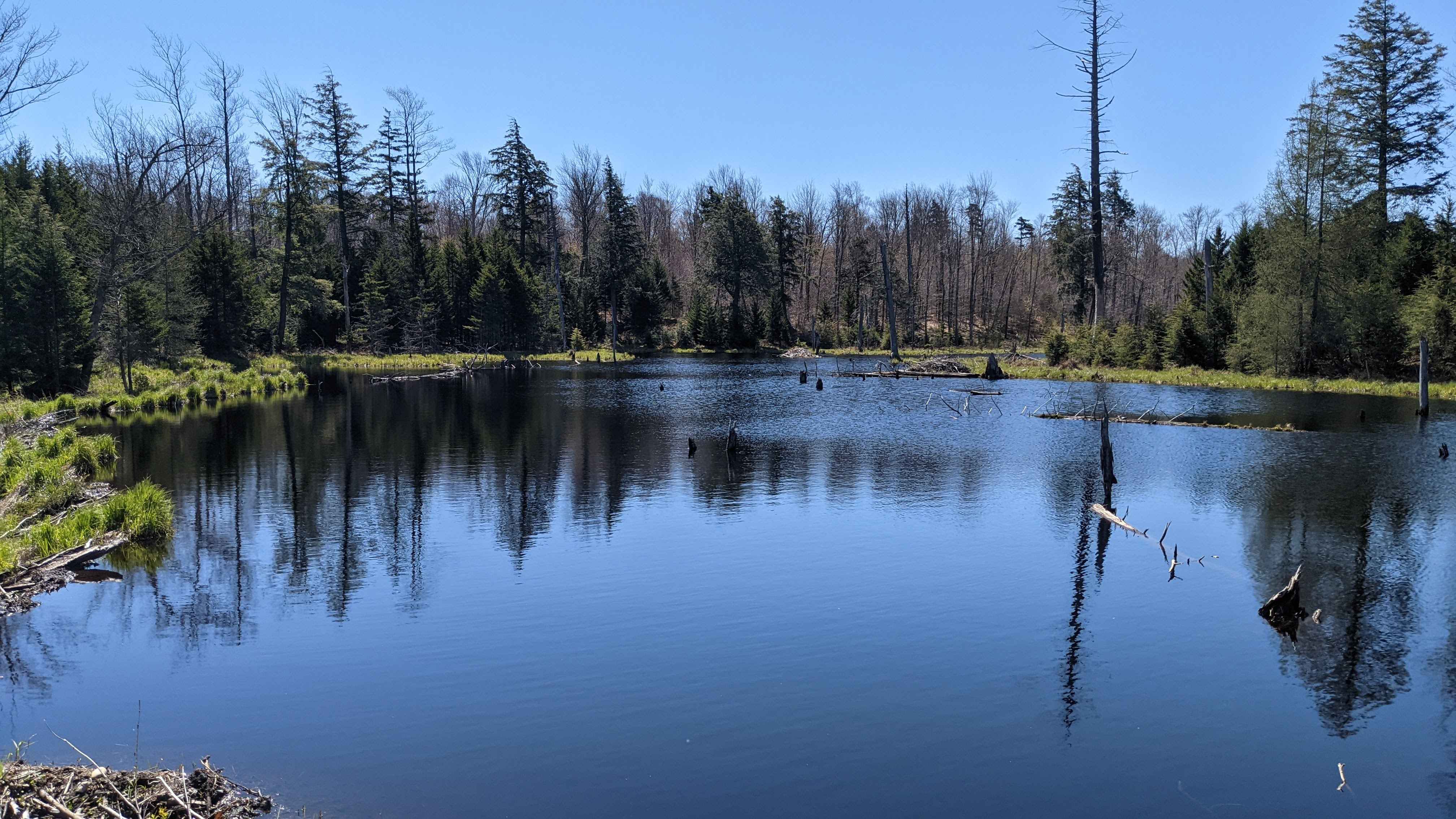 Santamont Road, New York - GPS Trail Map, Conditions & Difficulty | onX ...