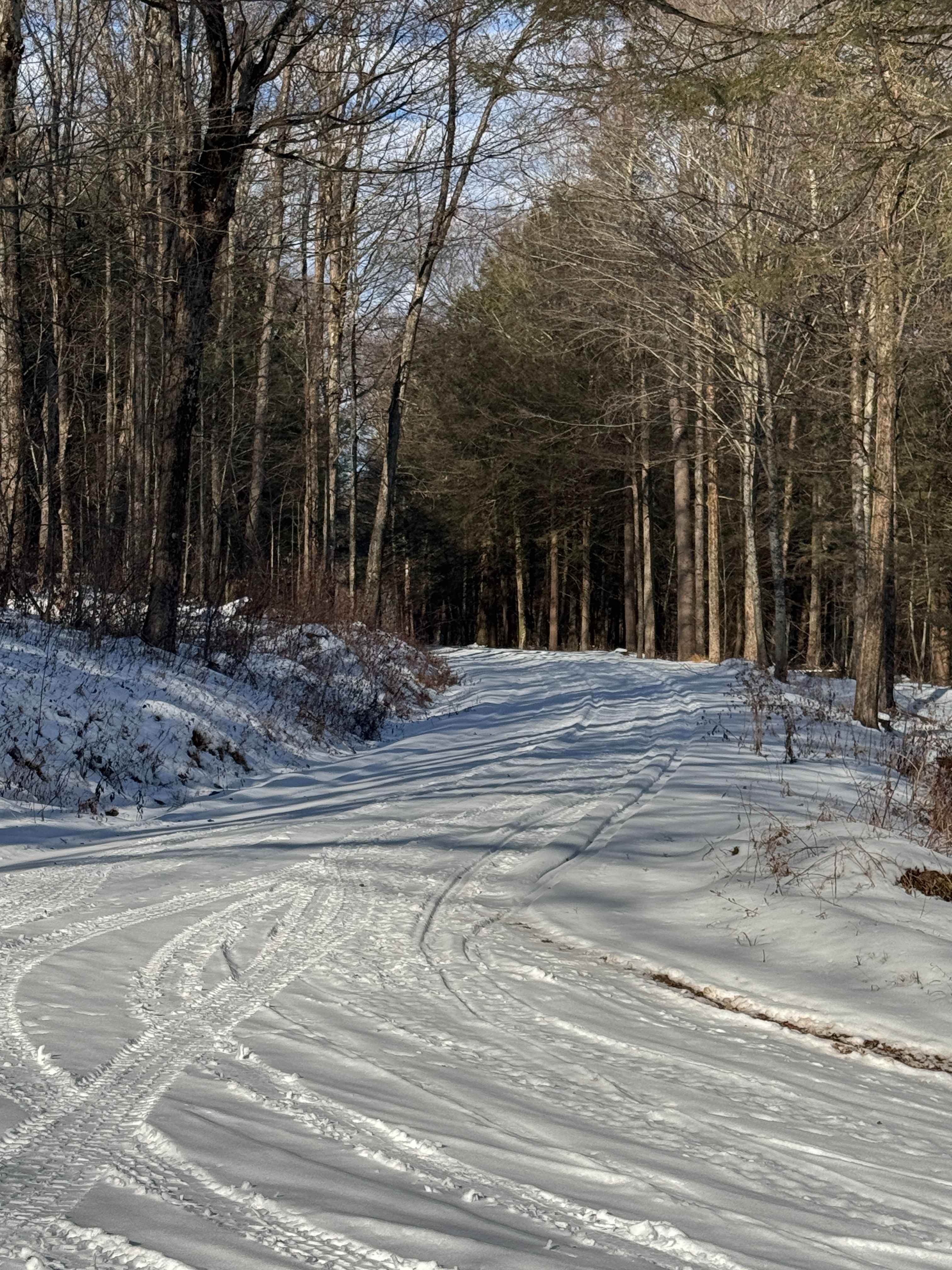 Camel's Road, Pennsylvania - GPS Trail Map, Conditions & Difficulty ...