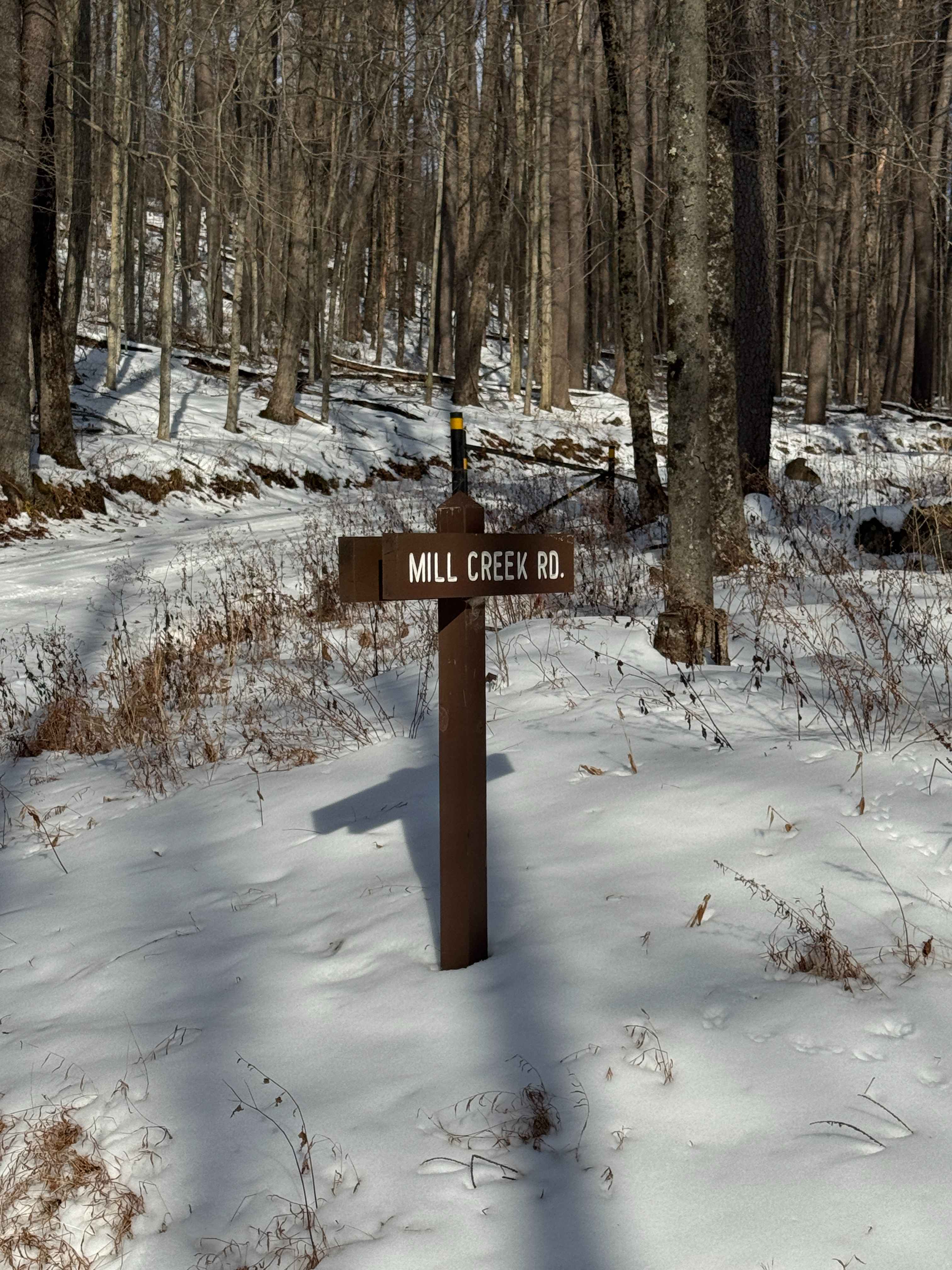 West Branch Road, Pennsylvania - GPS Trail Map, Conditions & Difficulty ...