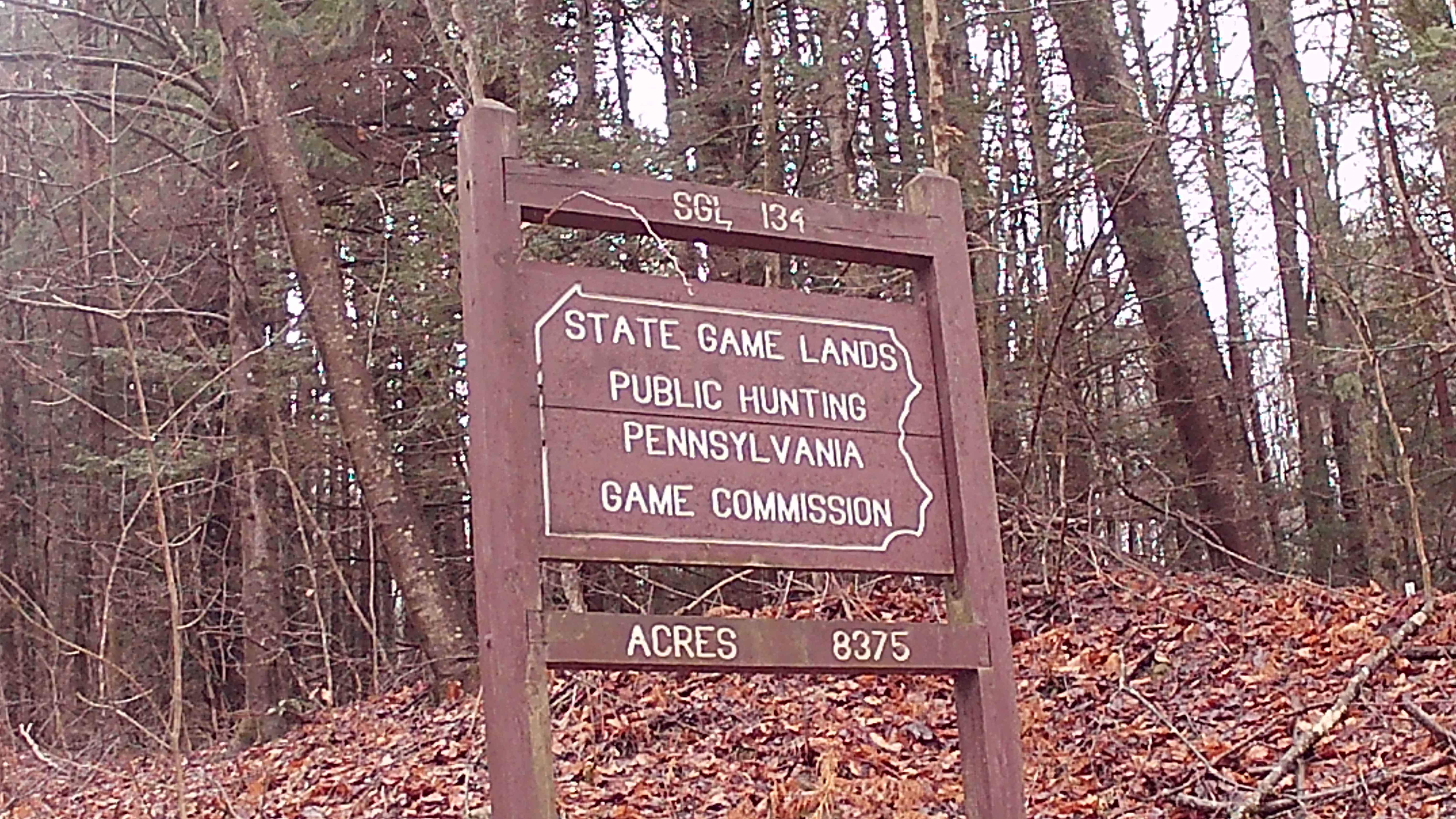 Camp Mountain Road, Pennsylvania - GPS Trail Map, Conditions ...