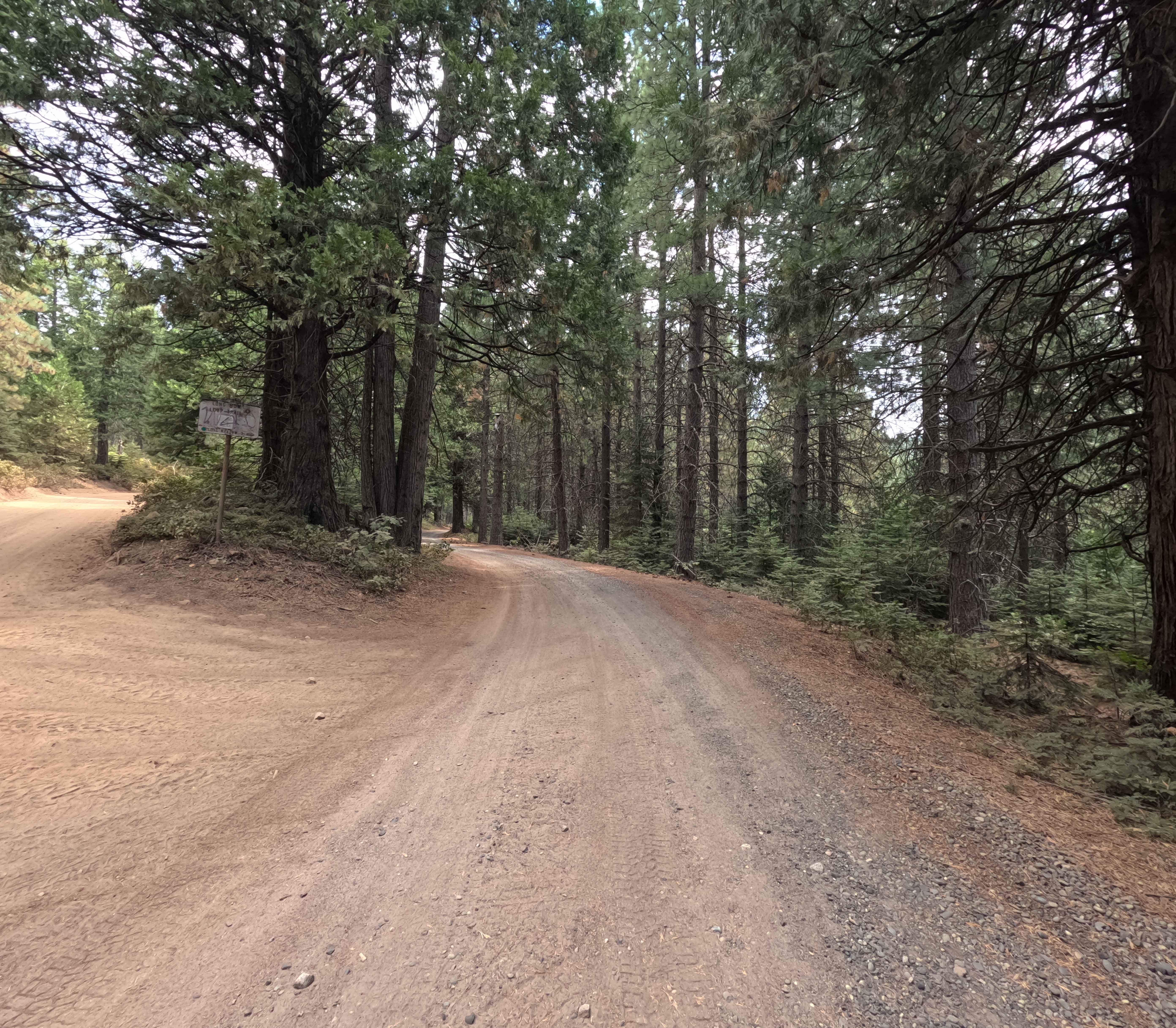 Rainier Creek - FS 5S037, California - GPS Trail Map, Conditions ...