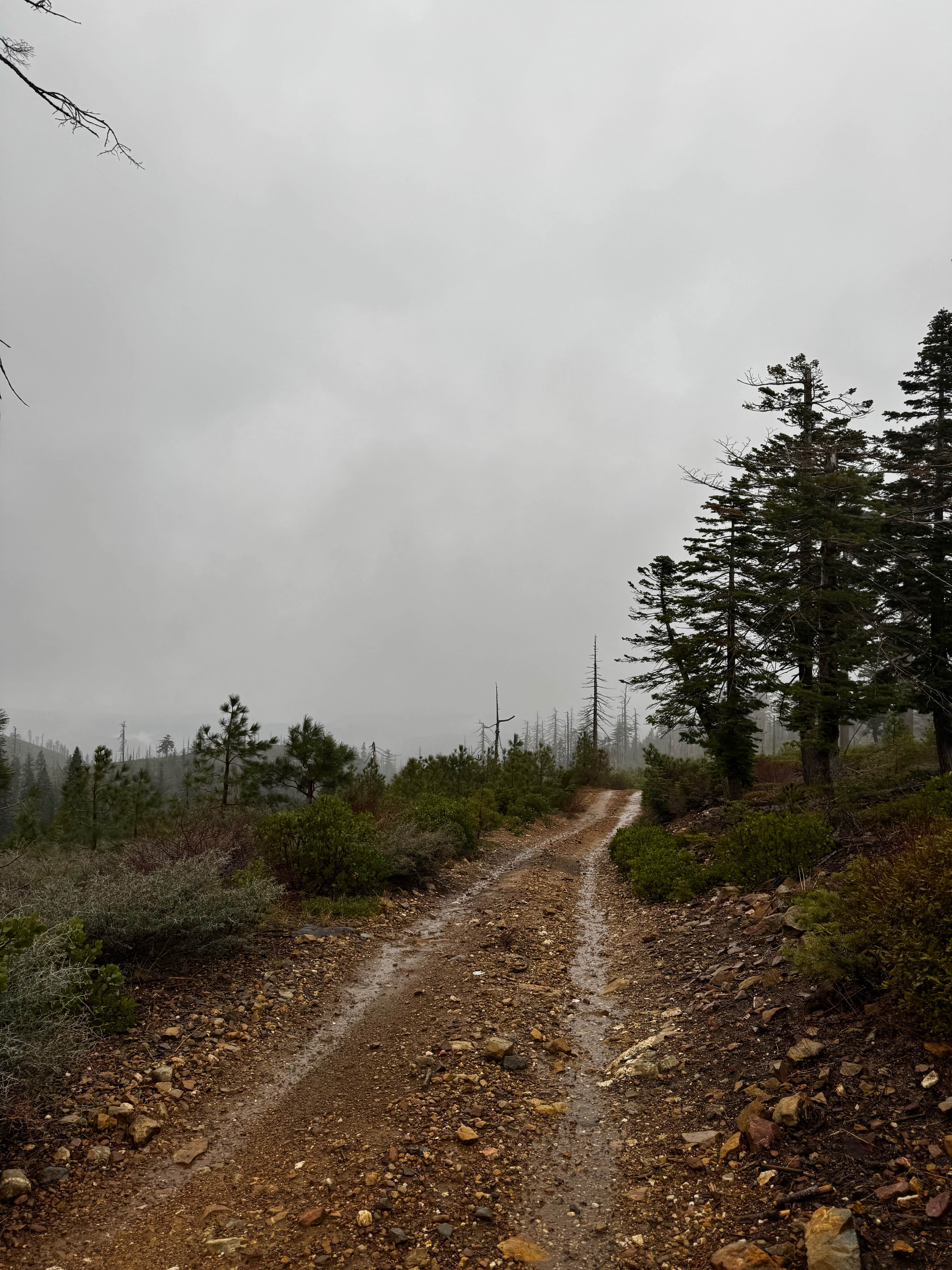 American Hill Trail, California - GPS Trail Map, Conditions ...