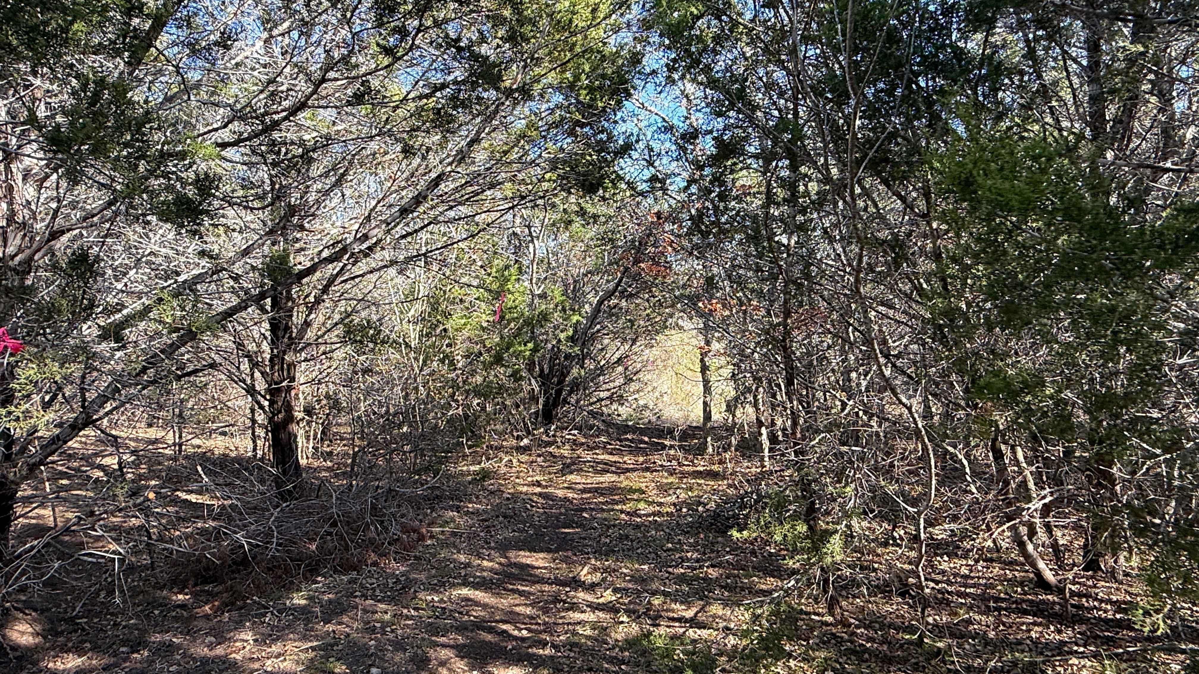 The Gallows, Texas - GPS Trail Map, Conditions & Difficulty | onX Offroad