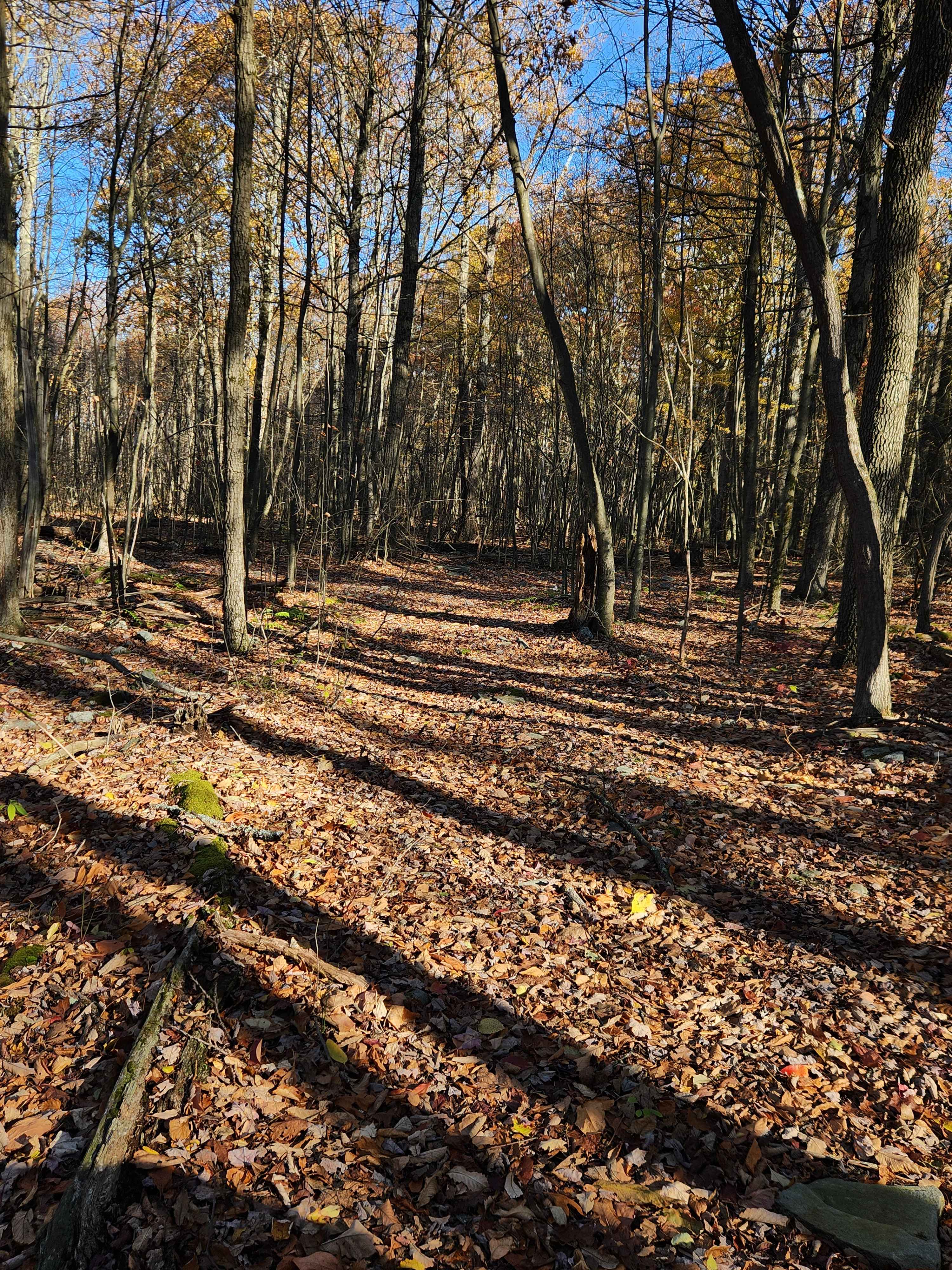 OHV 1 - Rock Run Recreation Area, Pennsylvania - GPS Trail Map ...