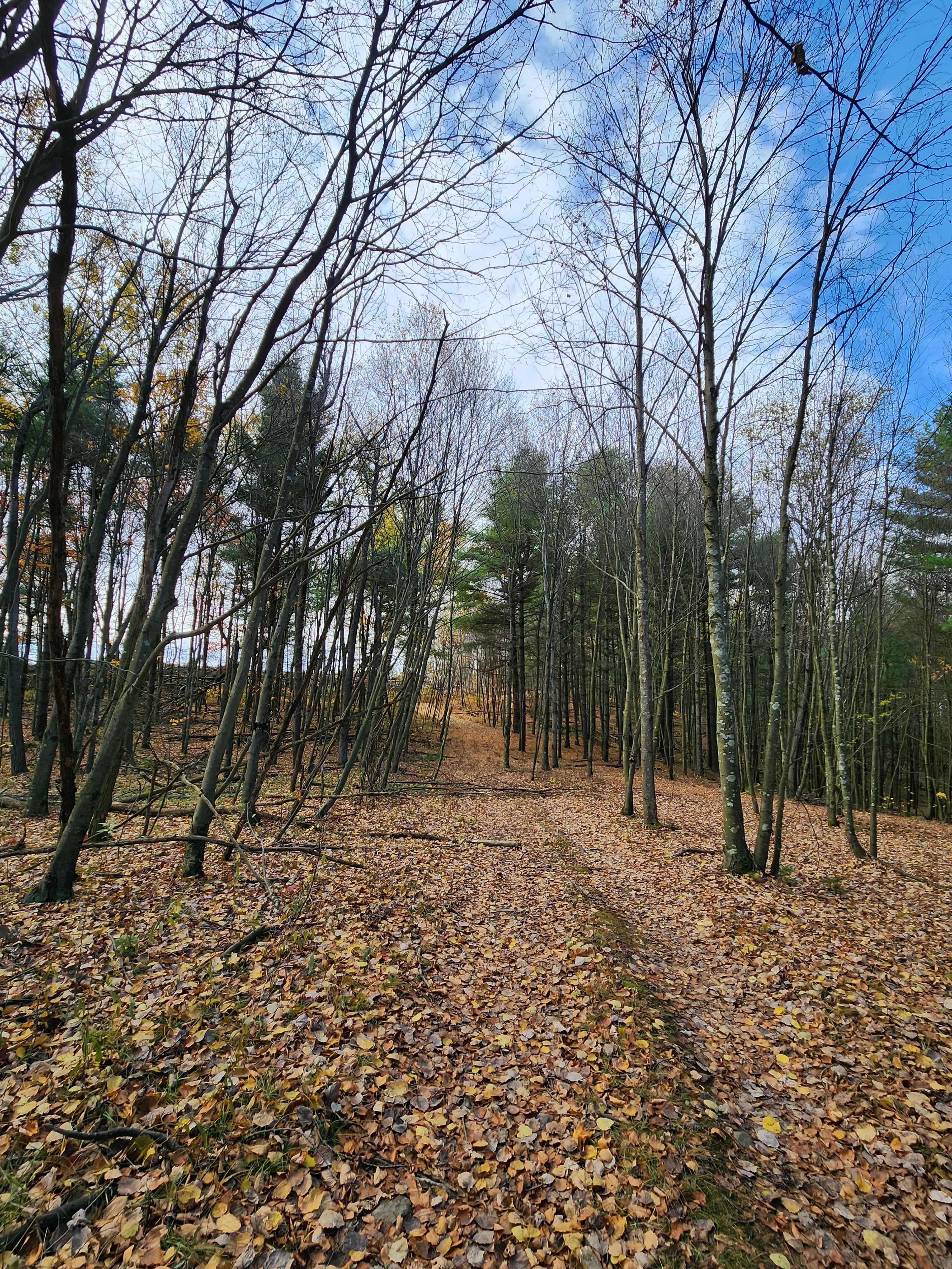 OHV 4 - Rock Run Recreation Area, Pennsylvania - GPS Trail Map ...