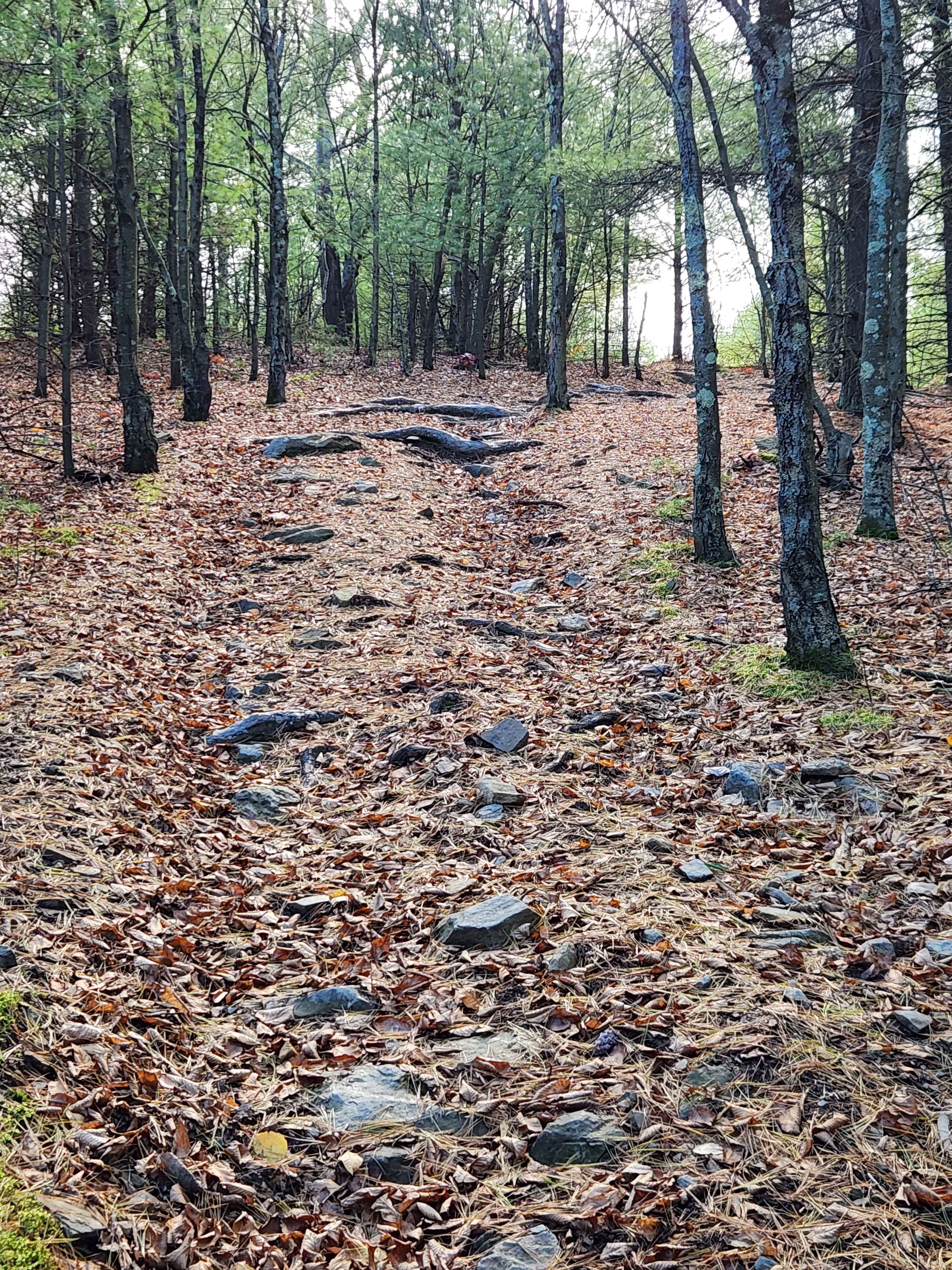 OHV 4 - Rock Run Recreation Area, Pennsylvania - GPS Trail Map ...