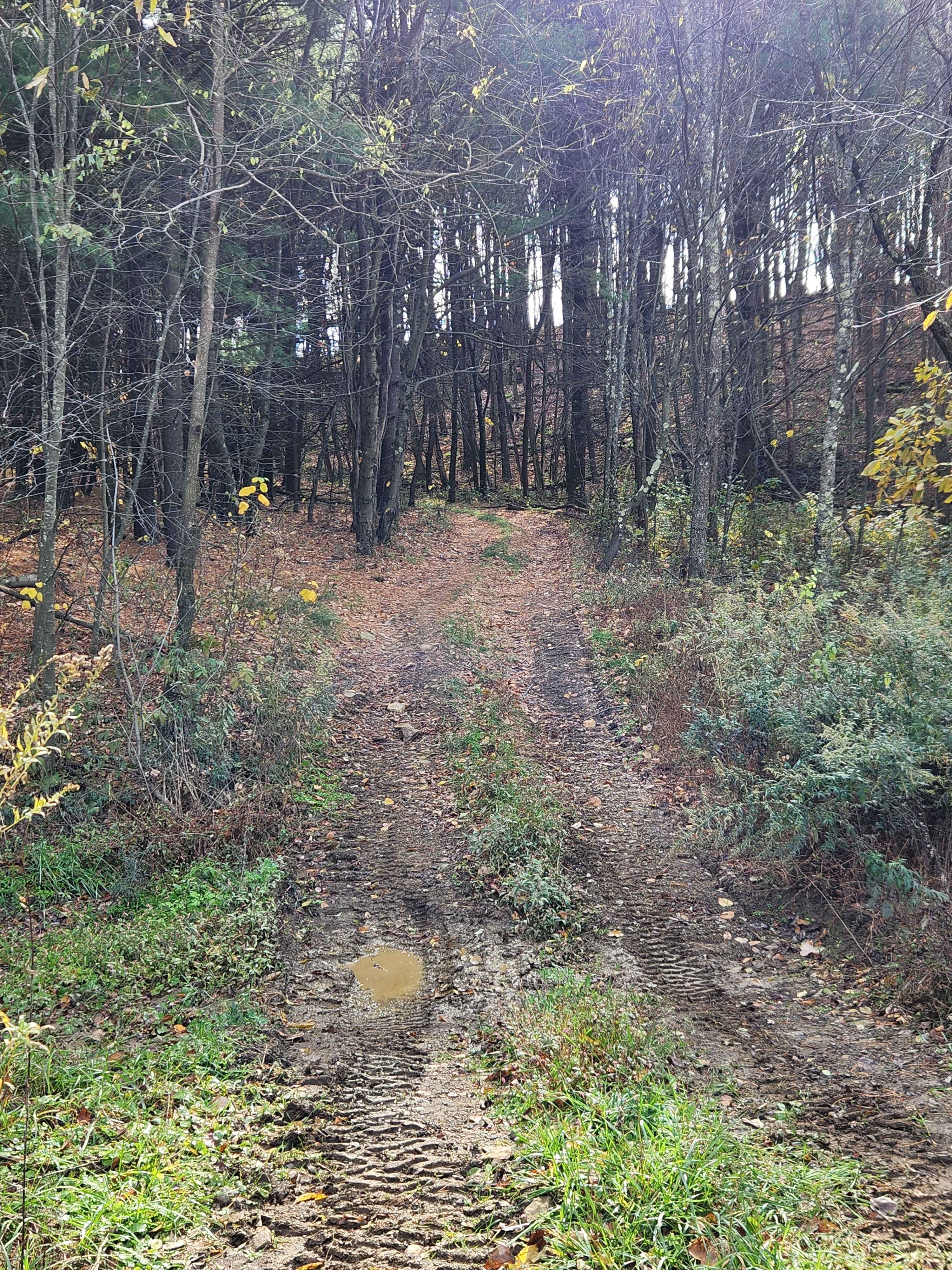 OHV 7 - Rock Run Recreation Area, Pennsylvania - GPS Trail Map ...