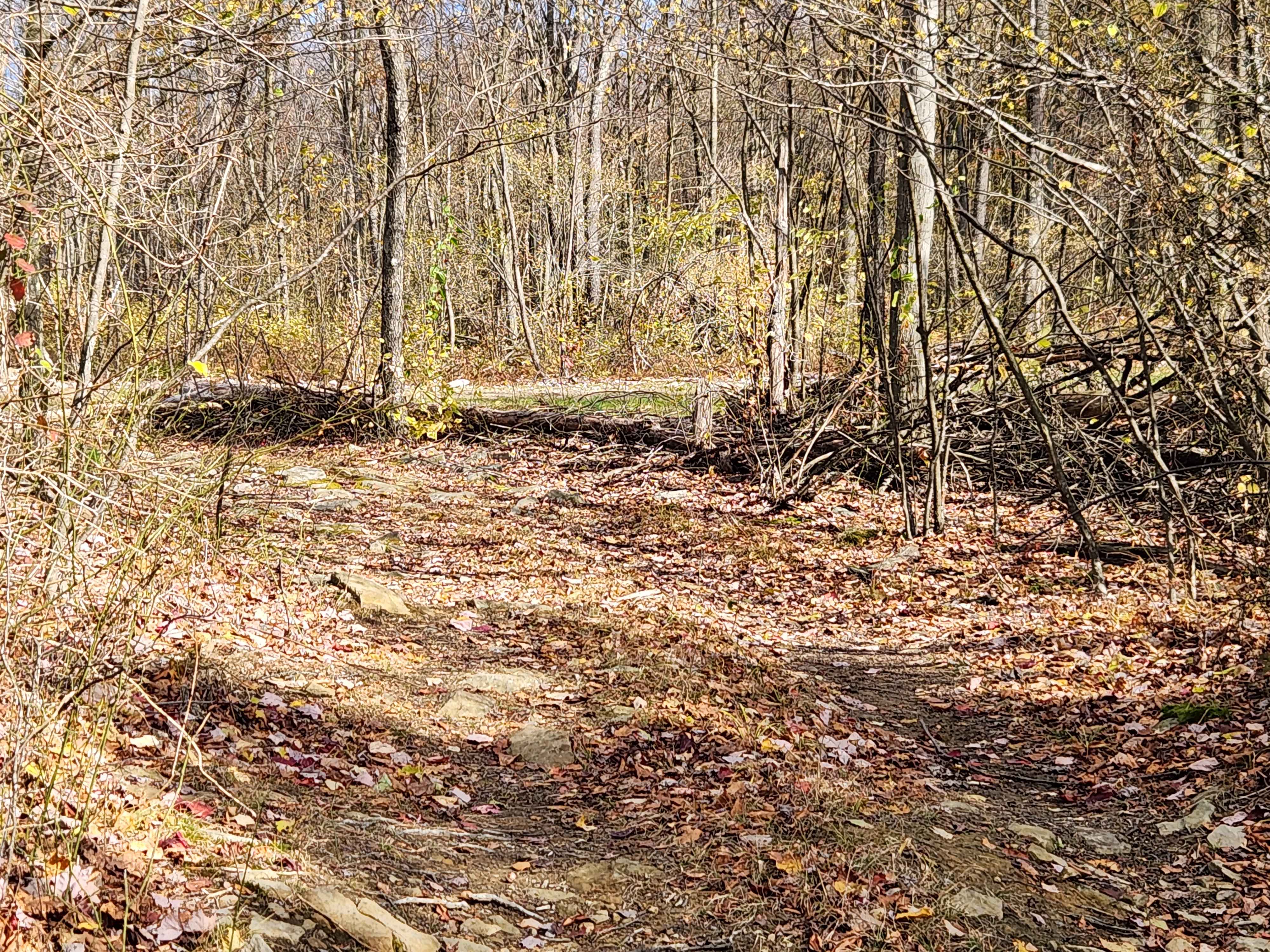 OHV 8 - Rock Run Recreation Area, Pennsylvania - GPS Trail Map ...