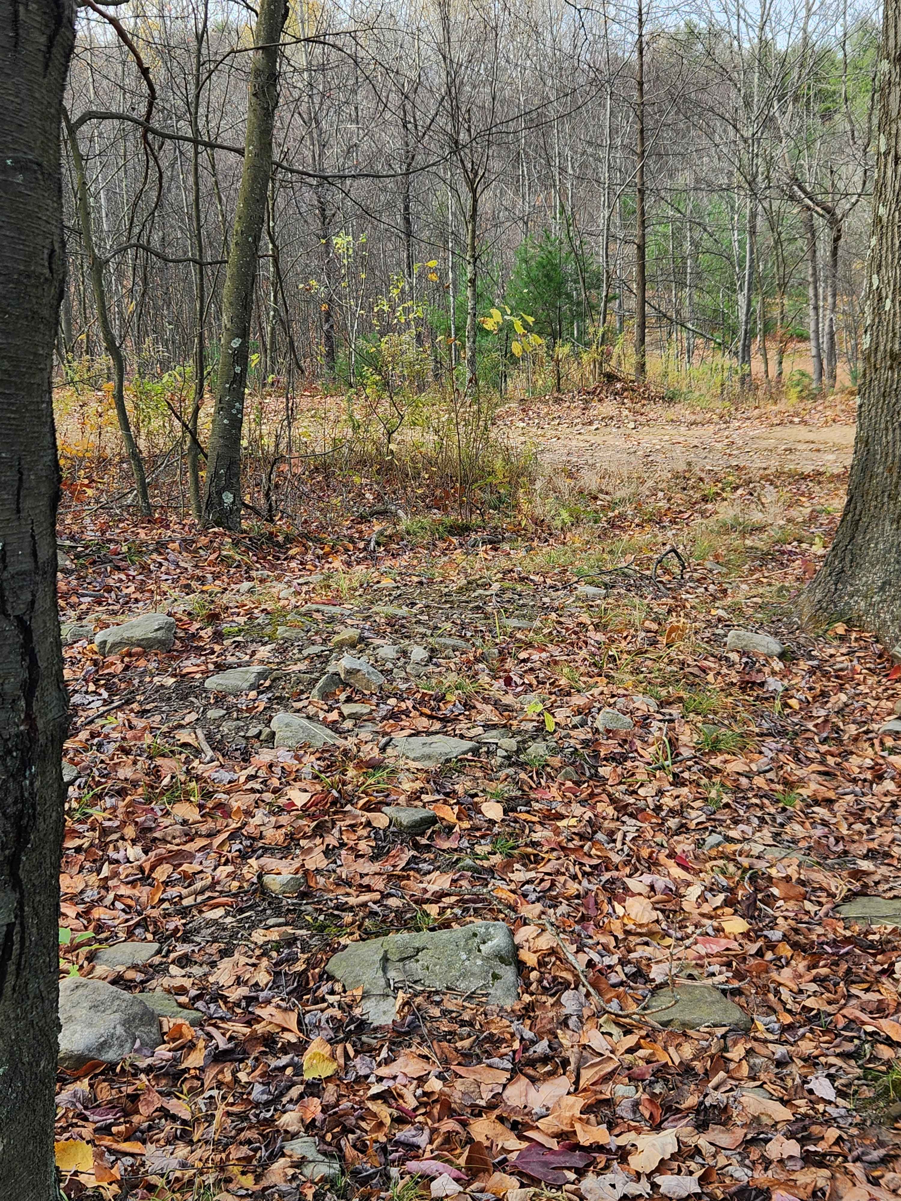 OHV 8 - Rock Run Recreation Area, Pennsylvania - GPS Trail Map ...