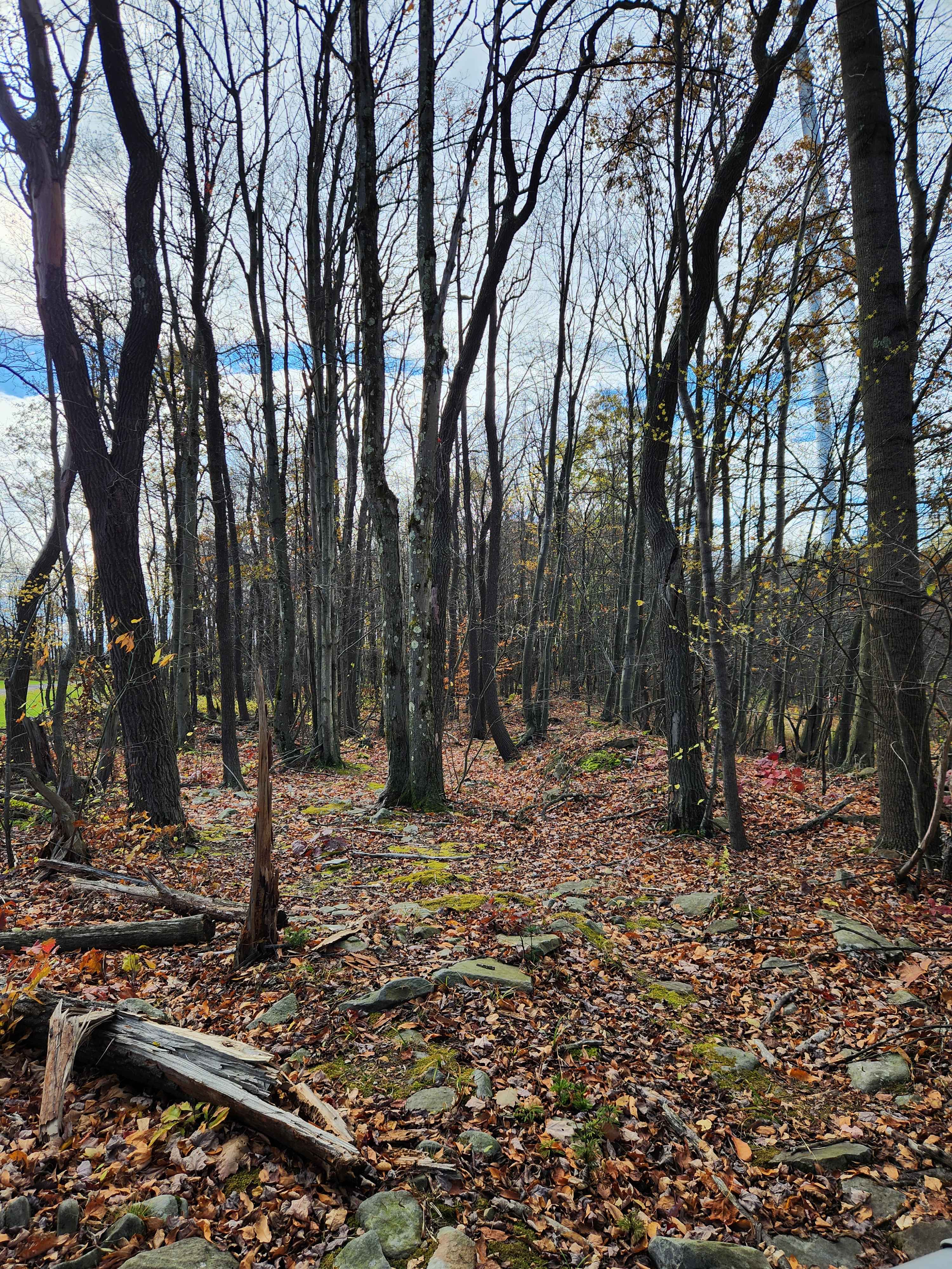 OHV 9 - Rock Run Recreation Area, Pennsylvania - GPS Trail Map ...