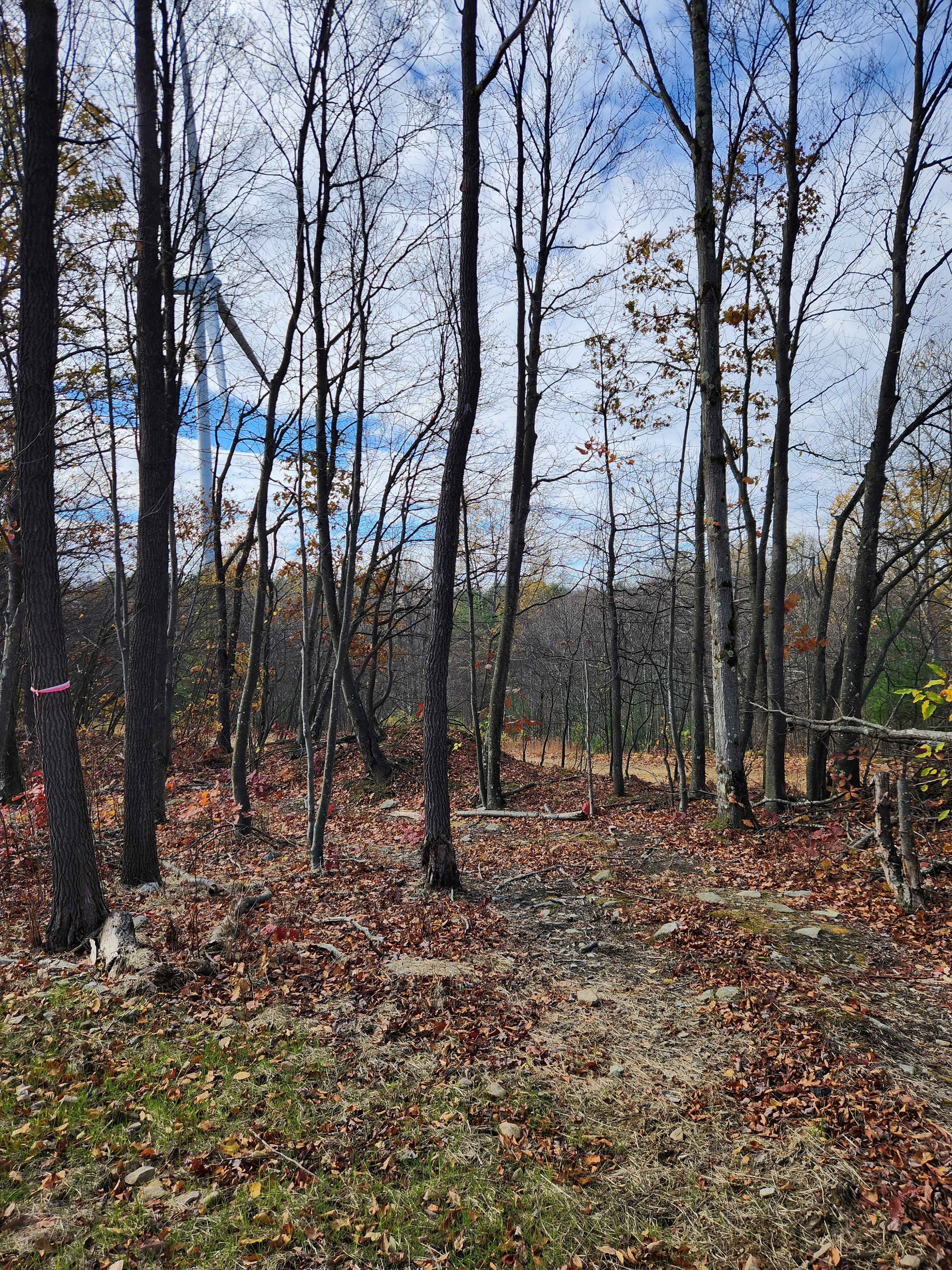 OHV 9 - Rock Run Recreation Area, Pennsylvania - GPS Trail Map ...