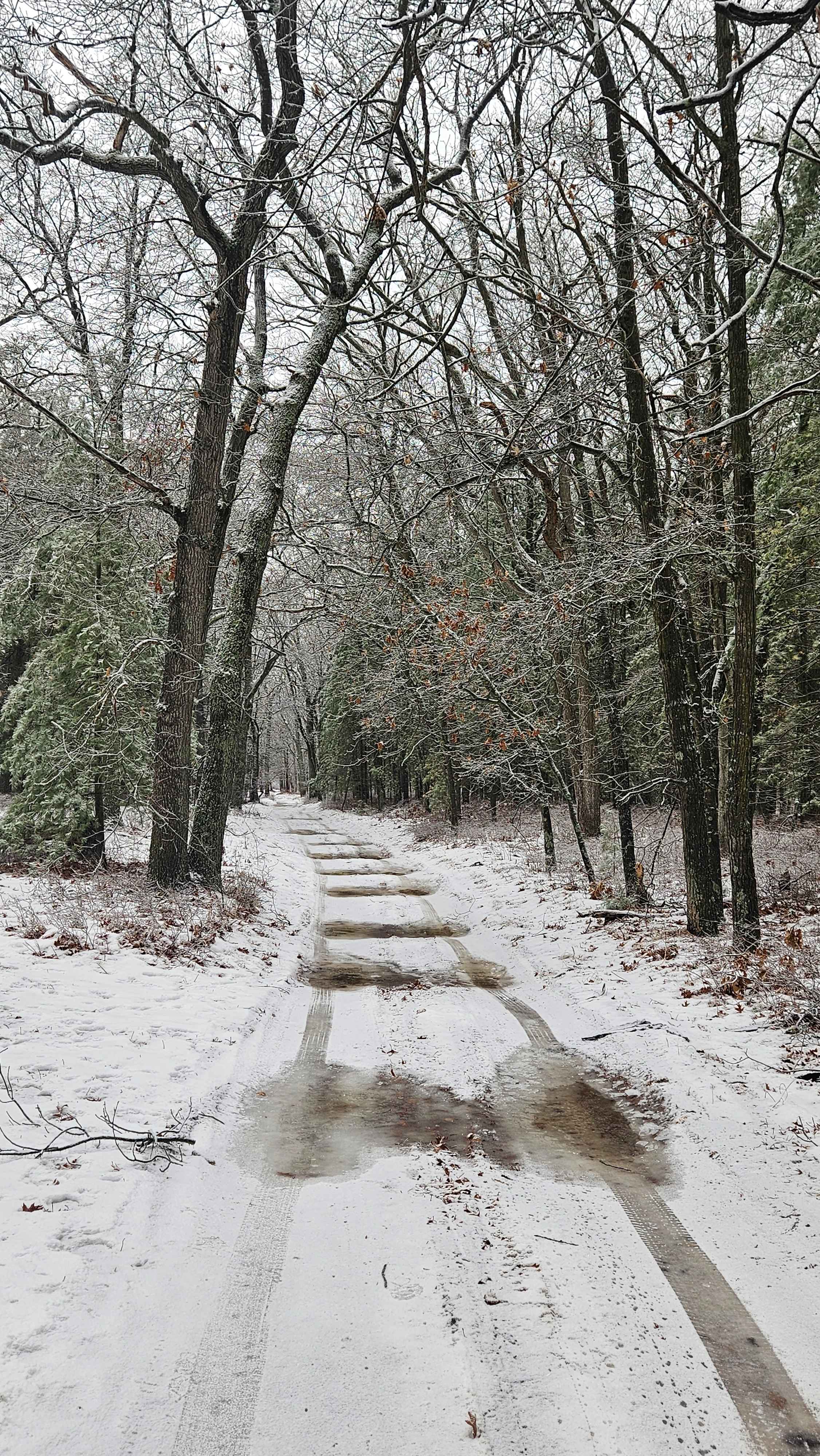 Old Sand Road, Michigan - GPS Trail Map, Conditions & Difficulty | onX ...