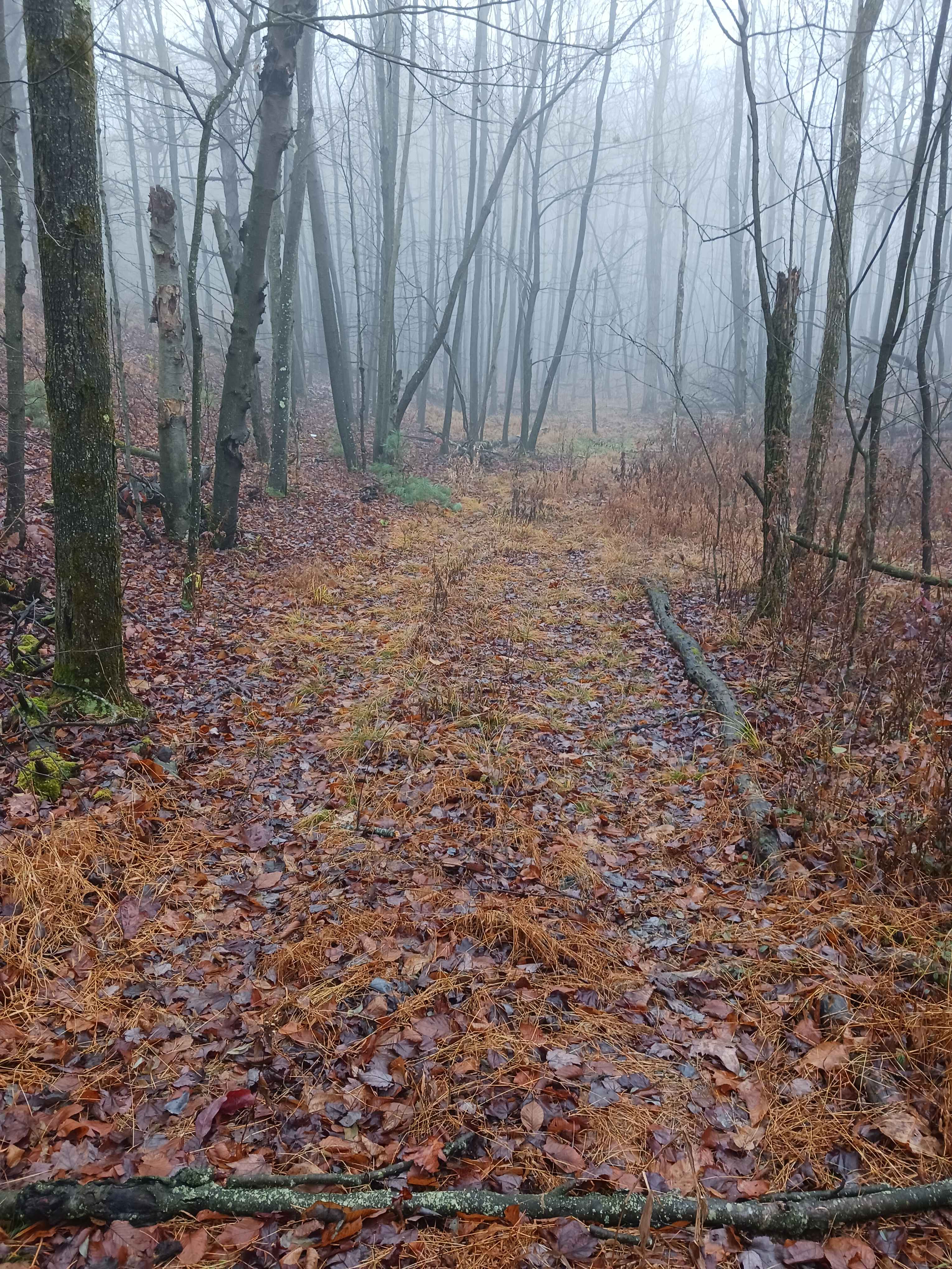 OHV 20 - Rock Run Recreation Area, Pennsylvania - GPS Trail Map ...