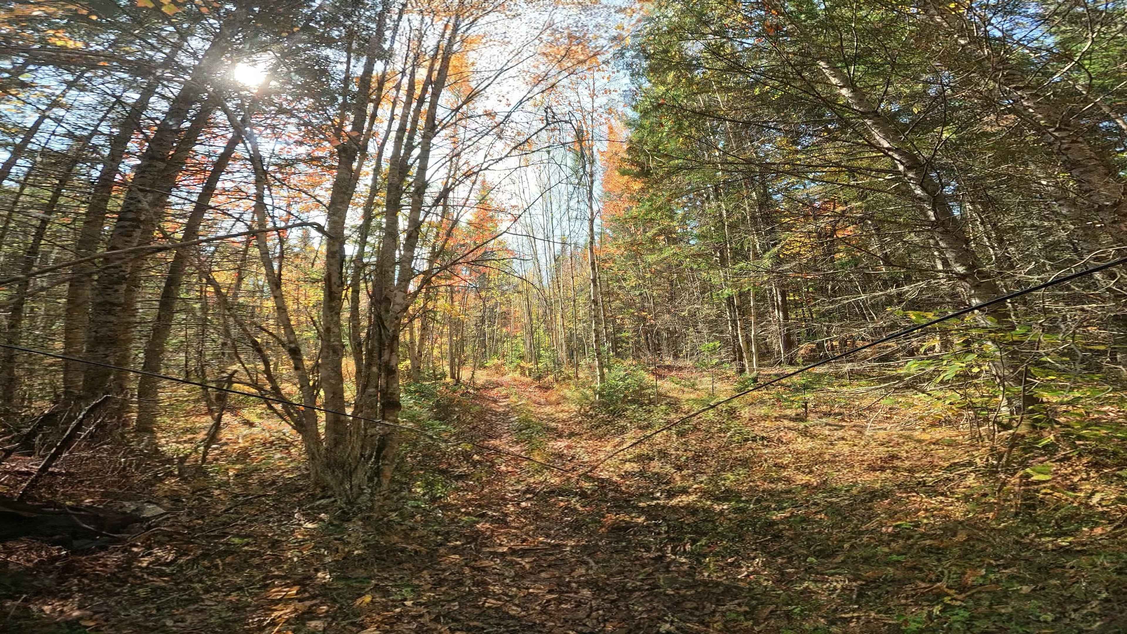 Old Hatchery Winter Trail End, New Brunswick - GPS Trail Map ...