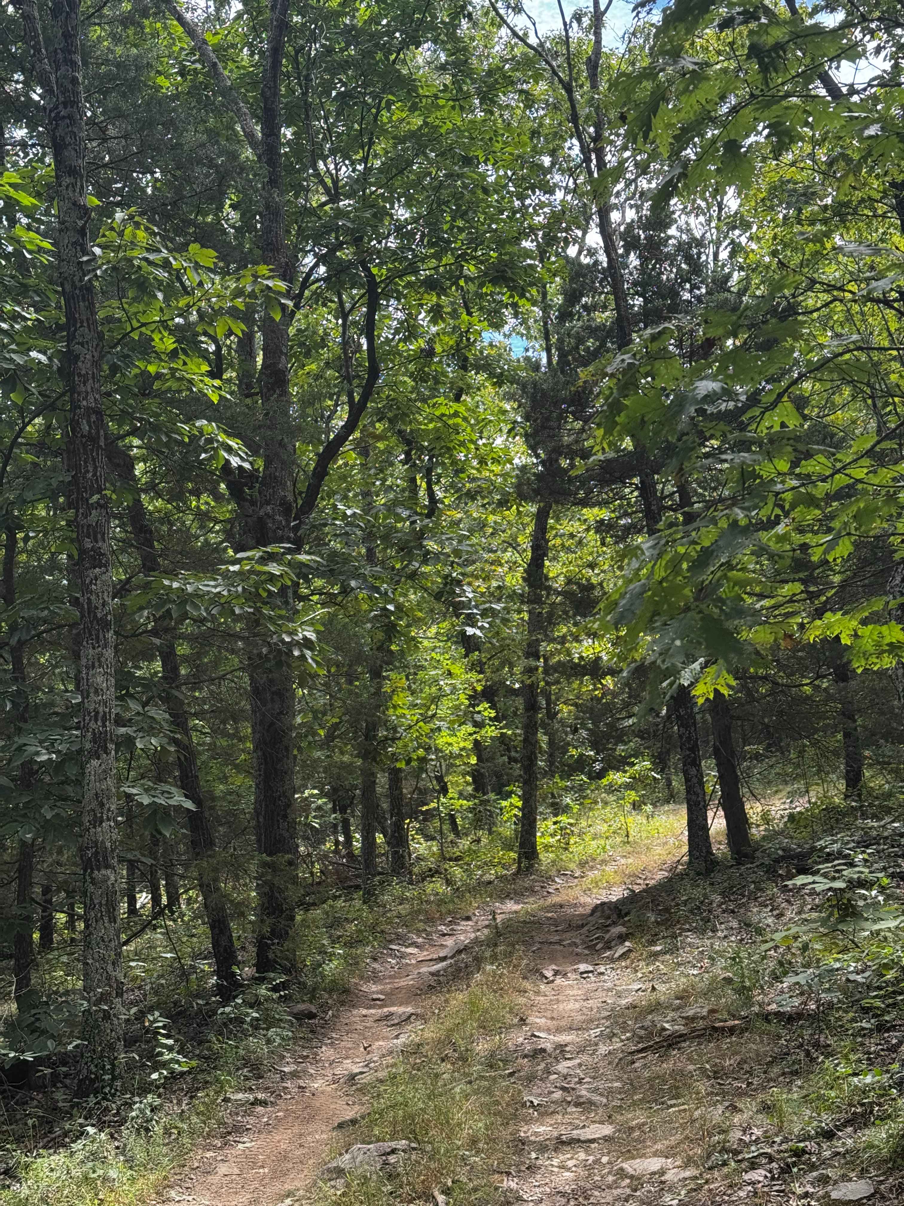 Loop Express, Missouri - GPS Trail Map, Conditions & Difficulty | onX ...