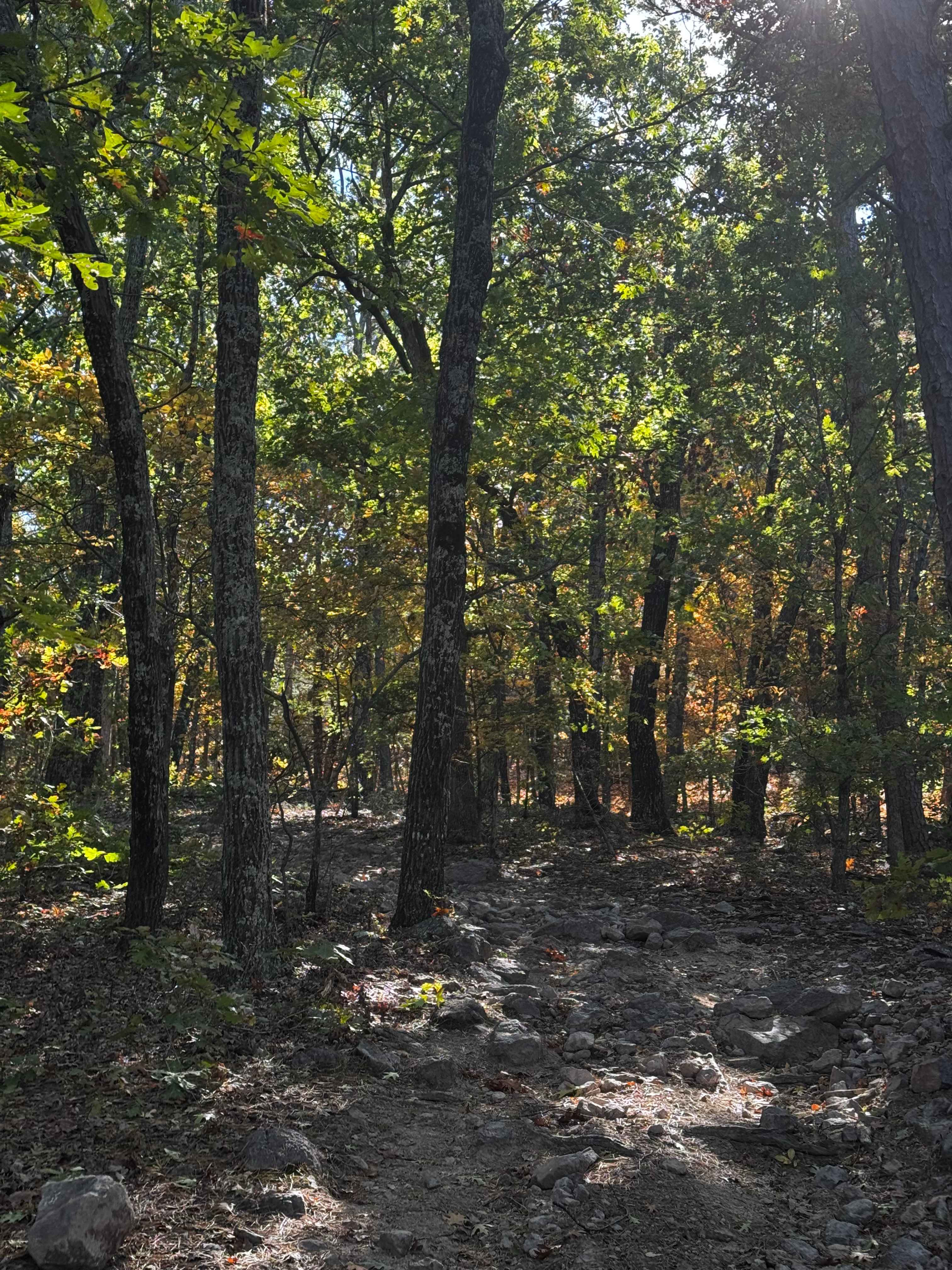 Rugged Cross, Missouri - GPS Trail Map, Conditions & Difficulty | onX ...