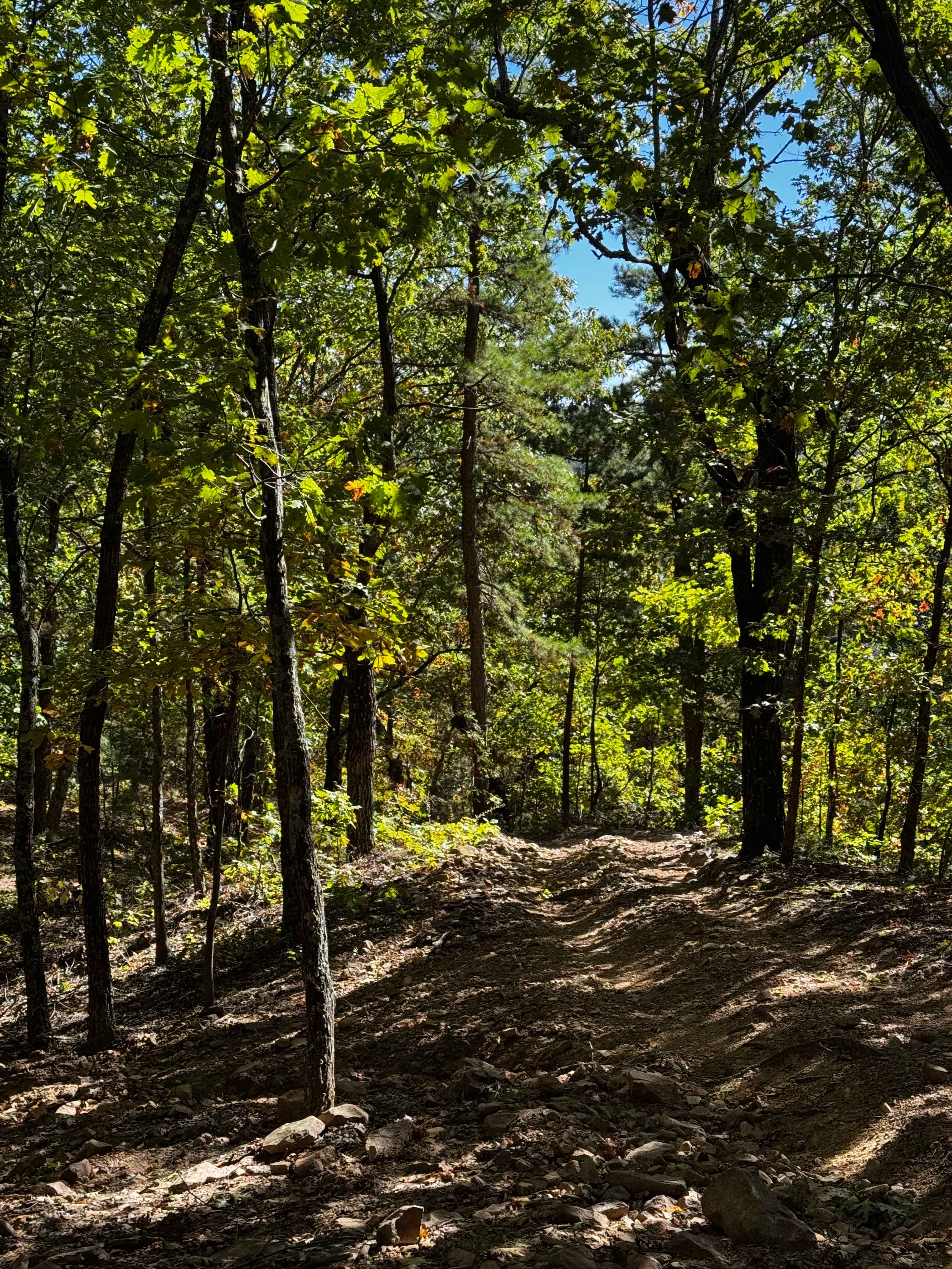 Wow Express, Missouri - GPS Trail Map, Conditions & Difficulty | onX ...