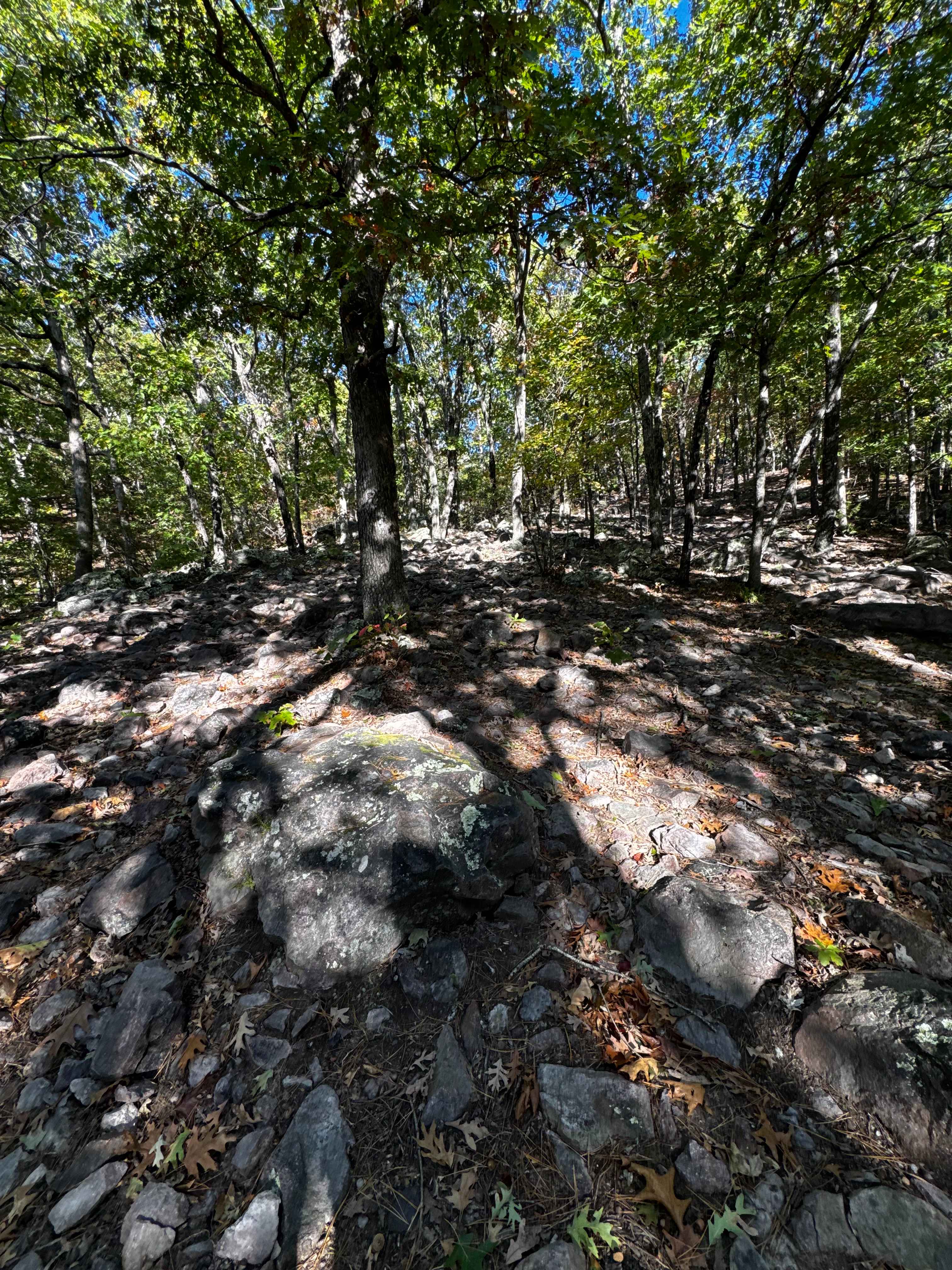 Wow Side Quest 1, Missouri - GPS Trail Map, Conditions & Difficulty ...