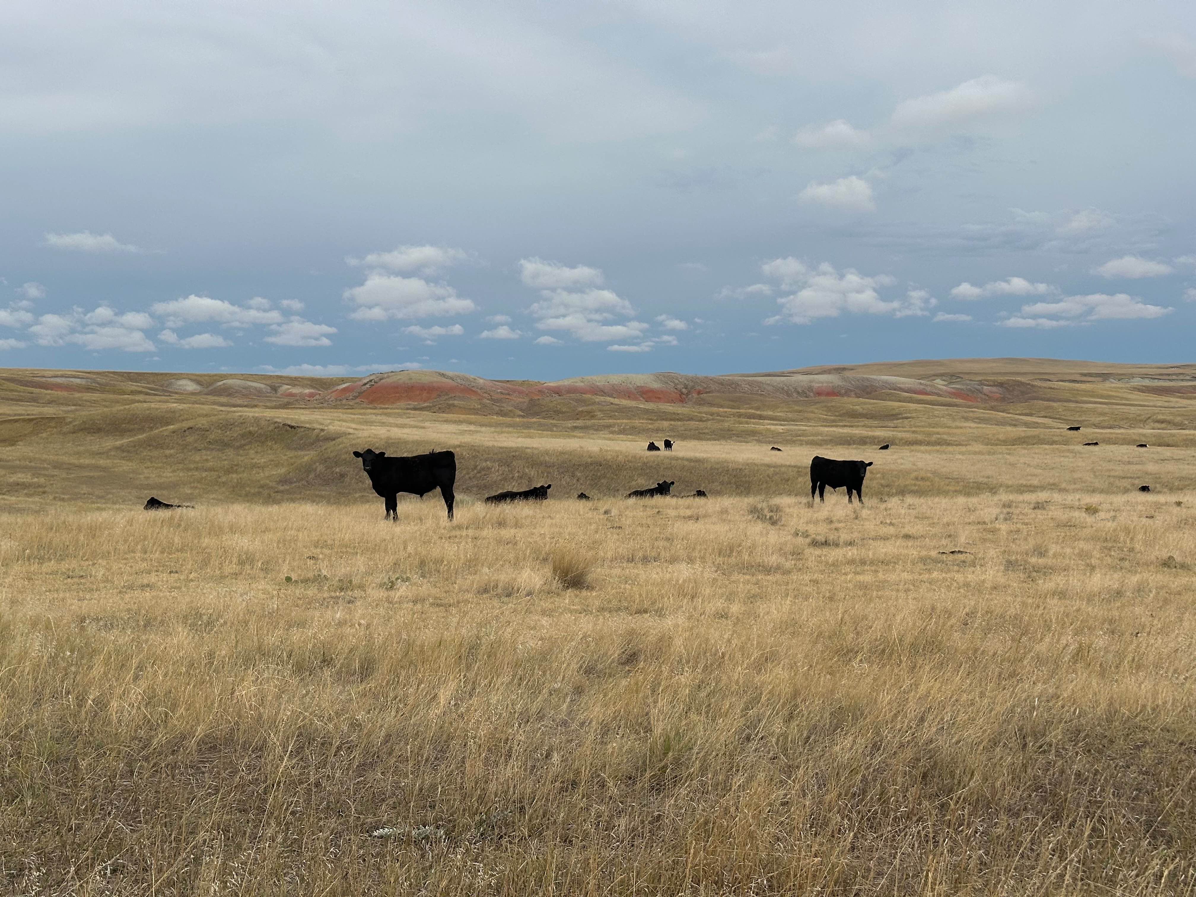 Orella Road, Nebraska - GPS Trail Map, Conditions & Difficulty | onX ...