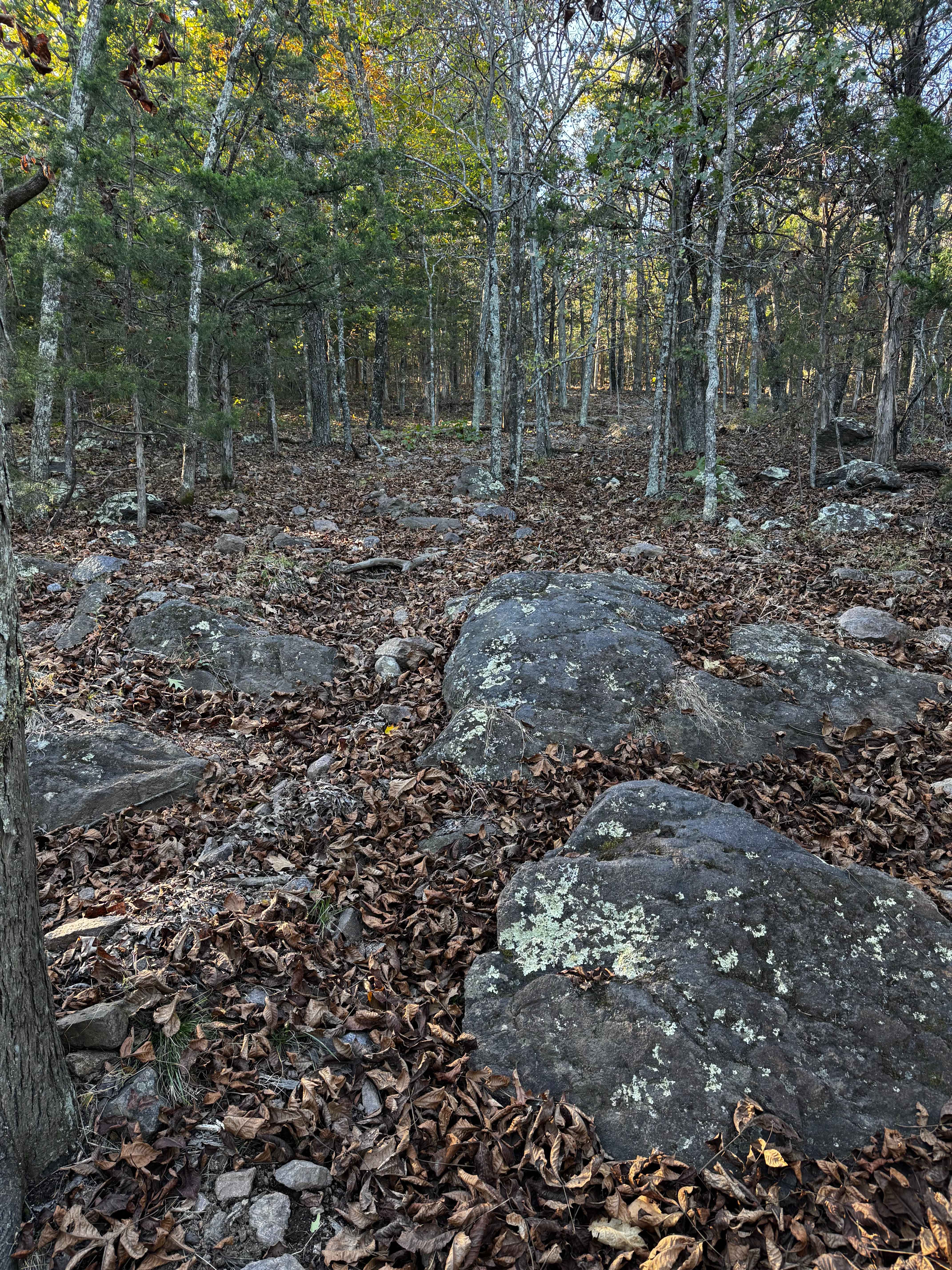 Side Piece Wow, Missouri - GPS Trail Map, Conditions & Difficulty | onX ...