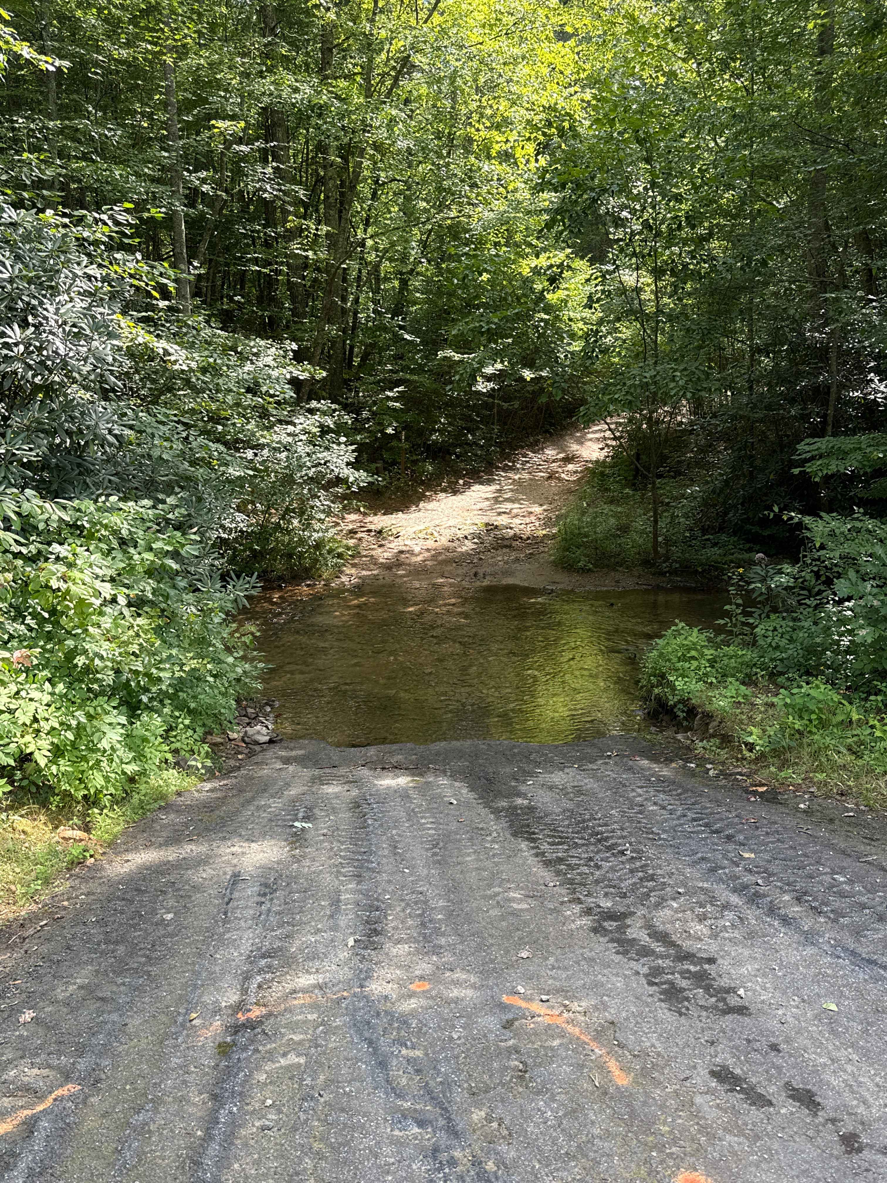 Gillespie Branch - FS 287, Georgia - GPS Trail Map, Conditions ...