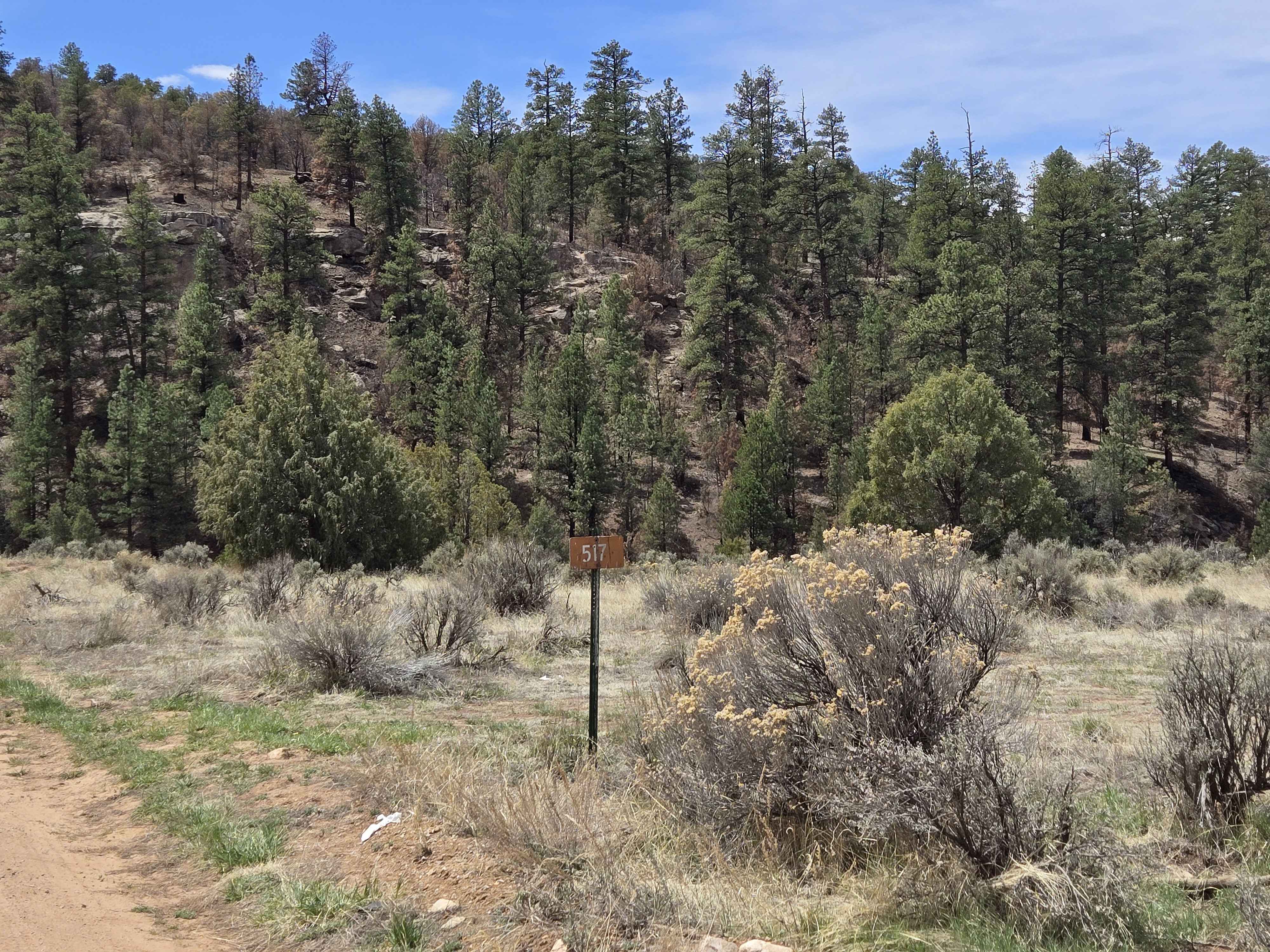 Canada Simon Trail, New Mexico - GPS Trail Map, Conditions & Difficulty ...