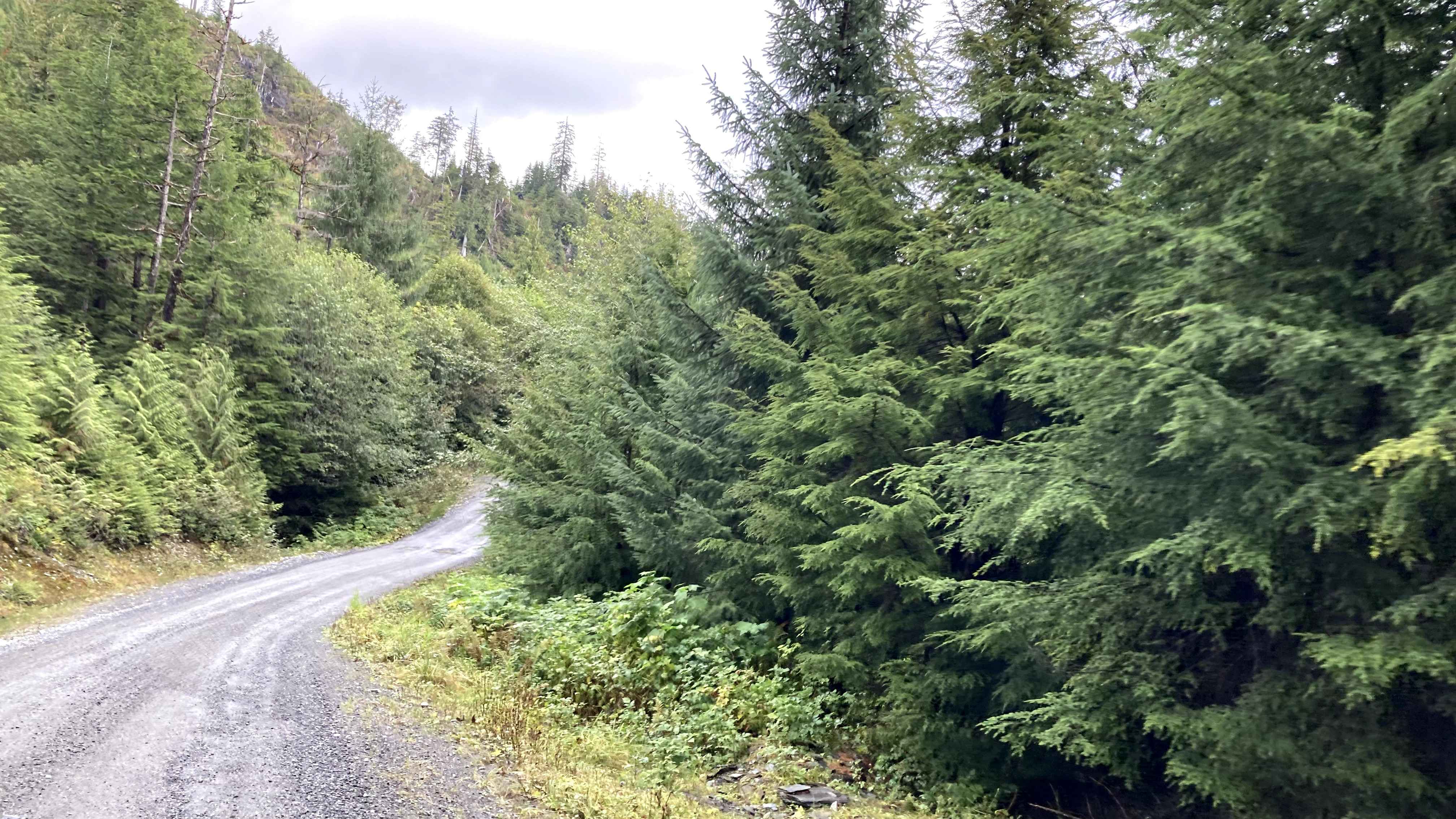 Revilla Road, Alaska - GPS Trail Map, Conditions & Difficulty | onX Offroad