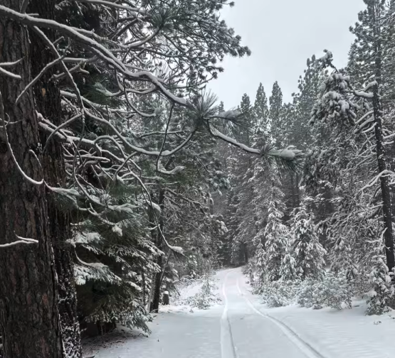 Forest Road 4130-000, Oregon - GPS Trail Map, Conditions & Difficulty ...