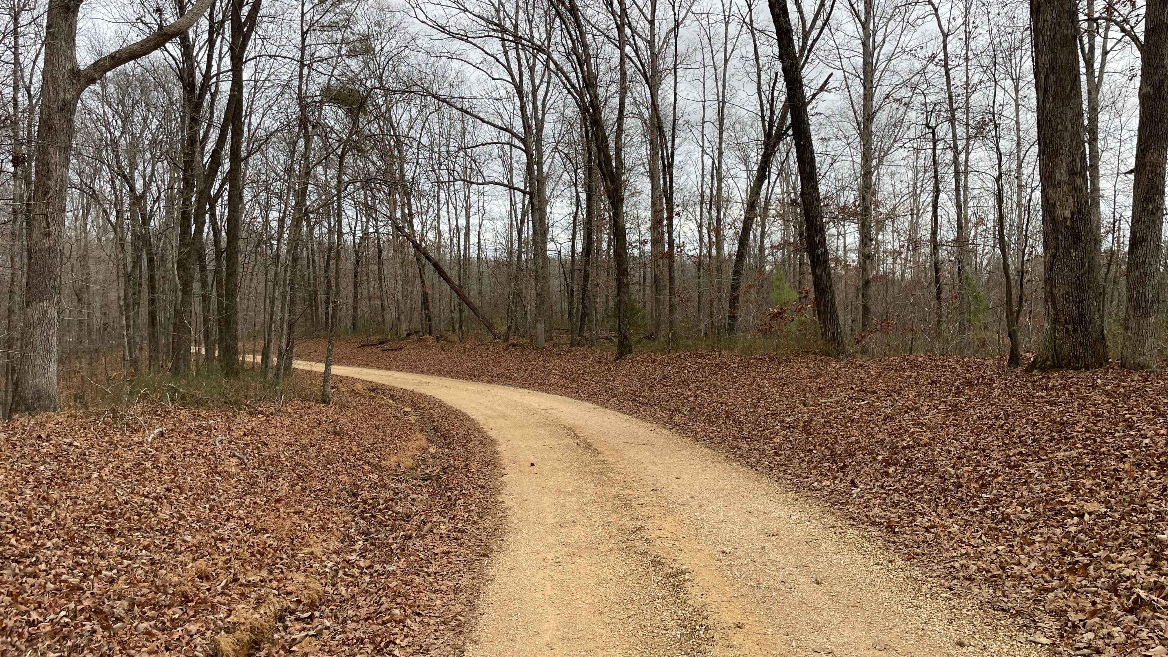 Finnie Road, Tennessee - GPS Trail Map, Conditions & Difficulty | onX ...